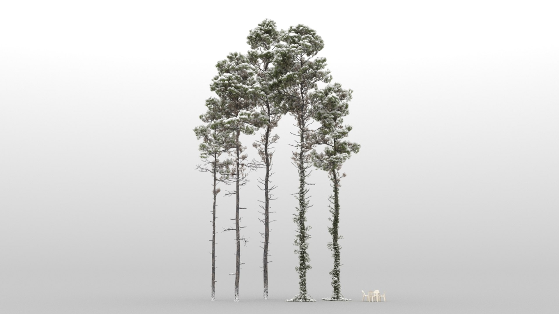 3D Pine Trees - TurboSquid 1628108