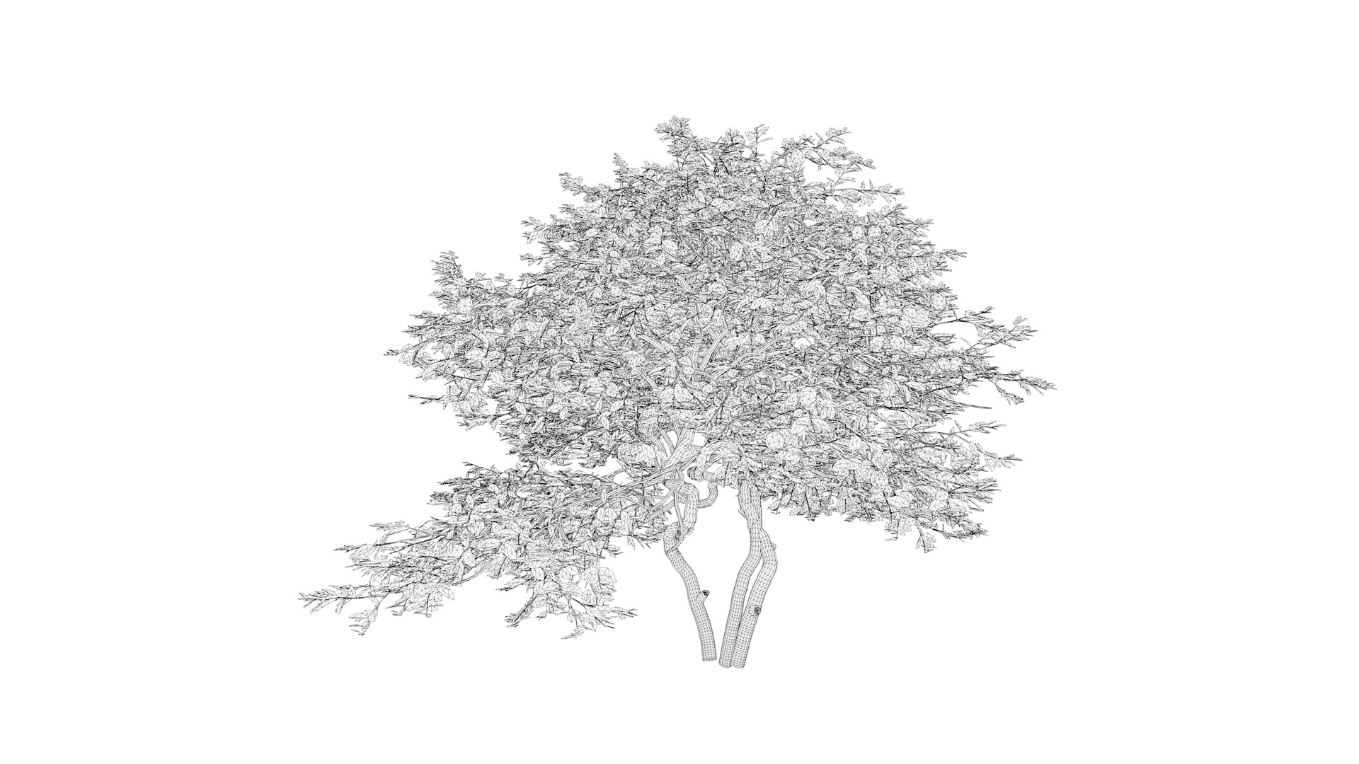3D Model Lemon Tree - 04 - - TurboSquid 2376778