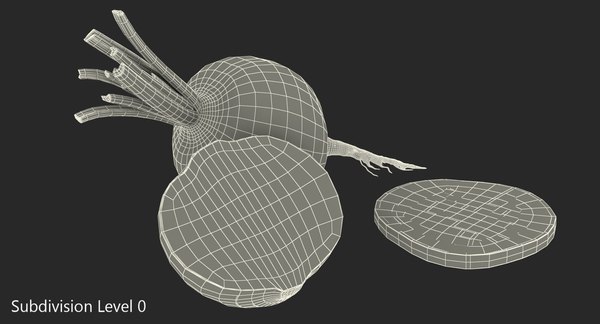 3D beetroot realistic model - TurboSquid 1218128