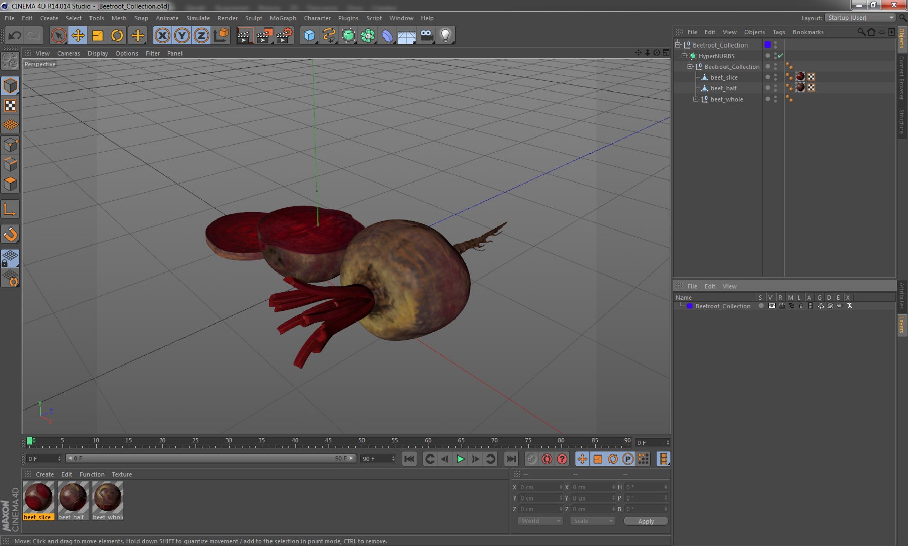 3D Beetroot Realistic Model - TurboSquid 1218128