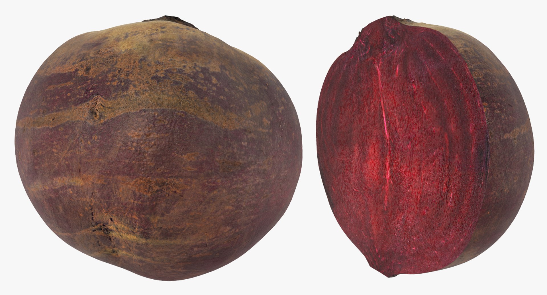 3D beetroot realistic model - TurboSquid 1218128