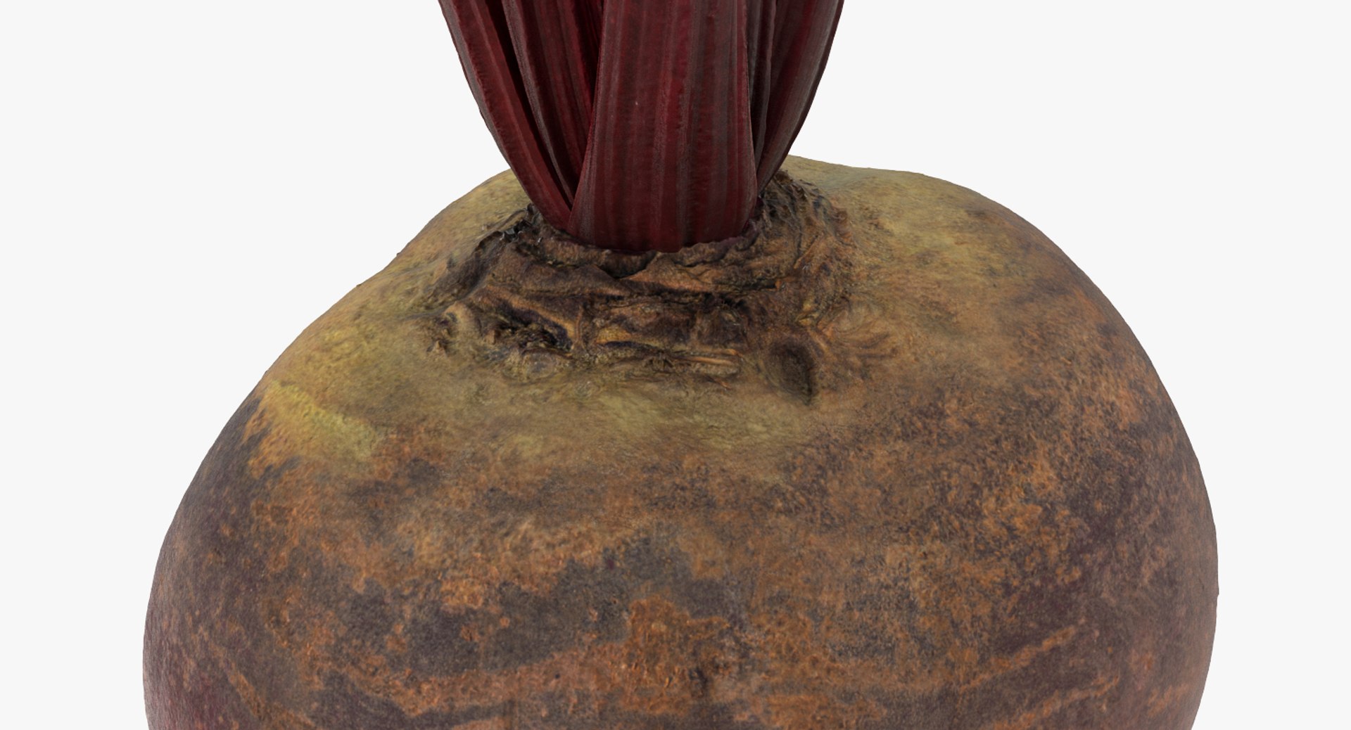 3D beetroot realistic model - TurboSquid 1218128