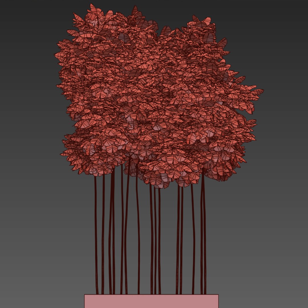 3D Model Bamboo Plant 2 - TurboSquid 1956702