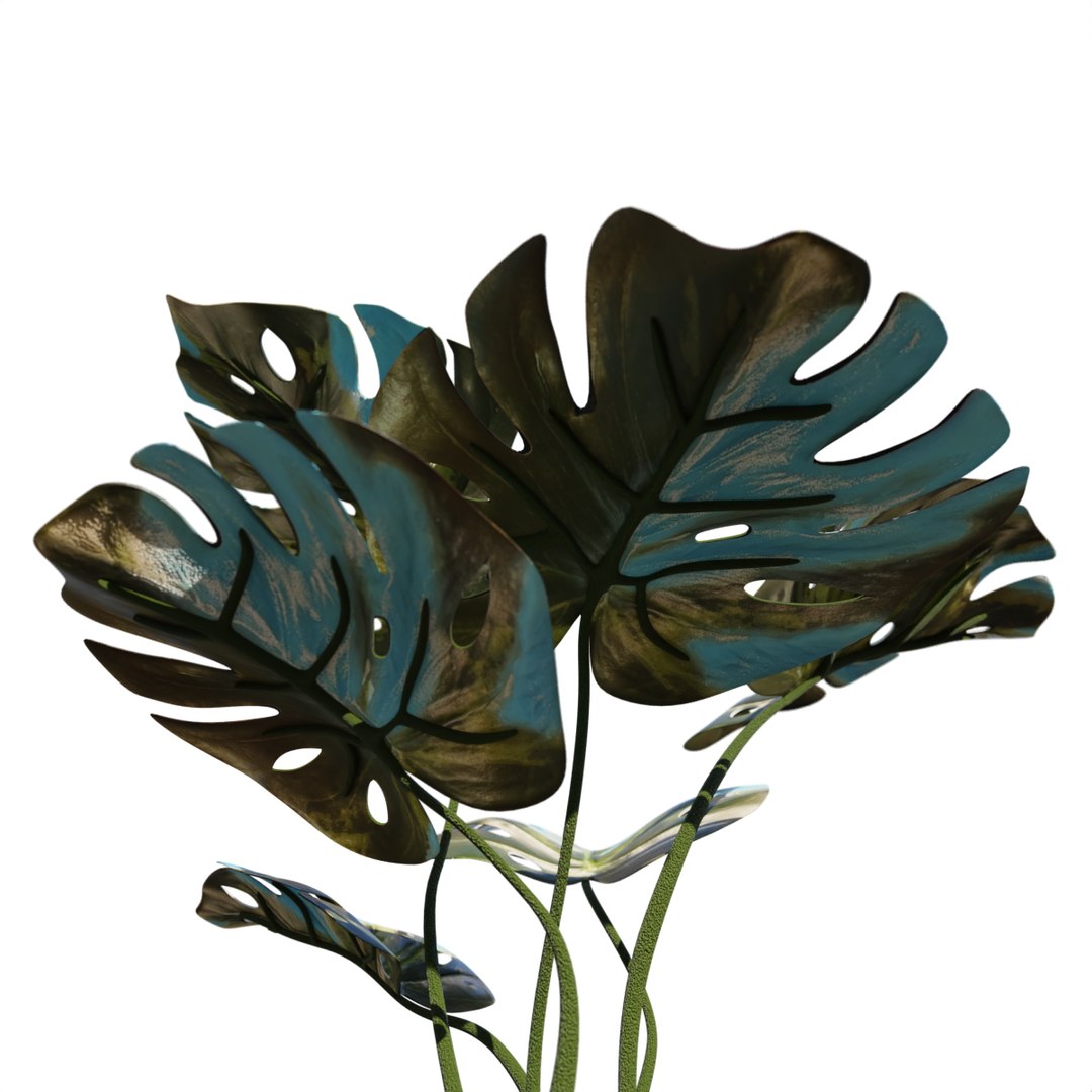 Monstera Plant 3D Model - TurboSquid 2044964