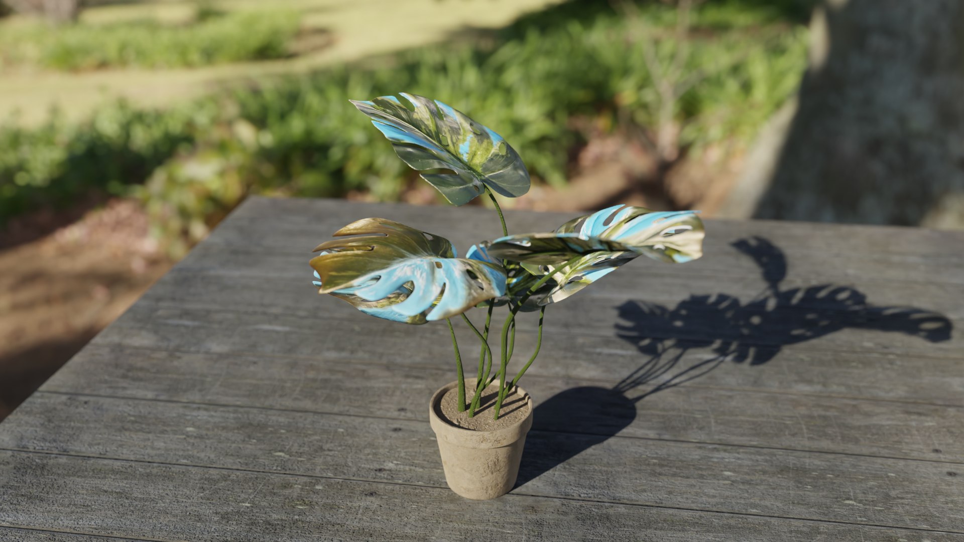 Monstera Plant 3D Model - TurboSquid 2044964
