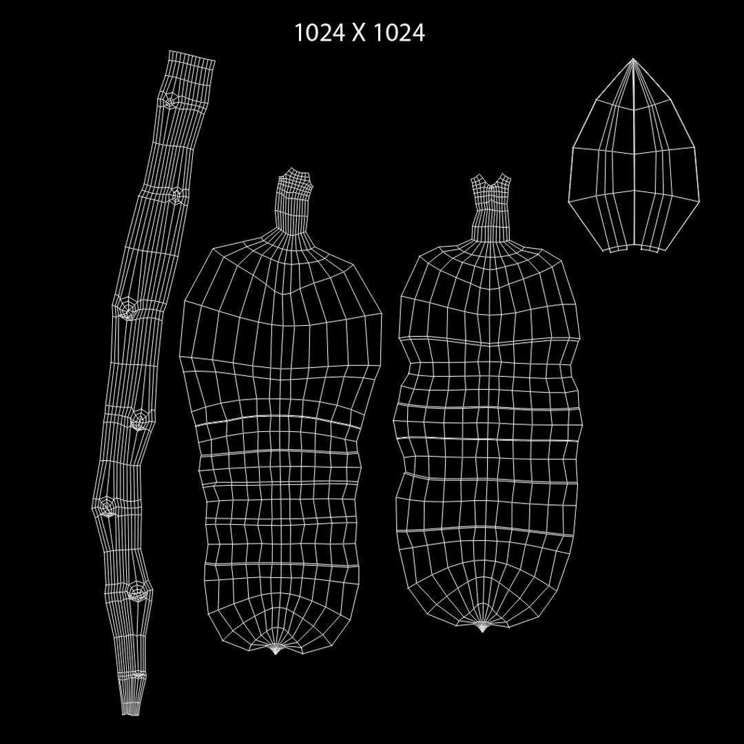 3d Model Tamarindus Tree Tropical