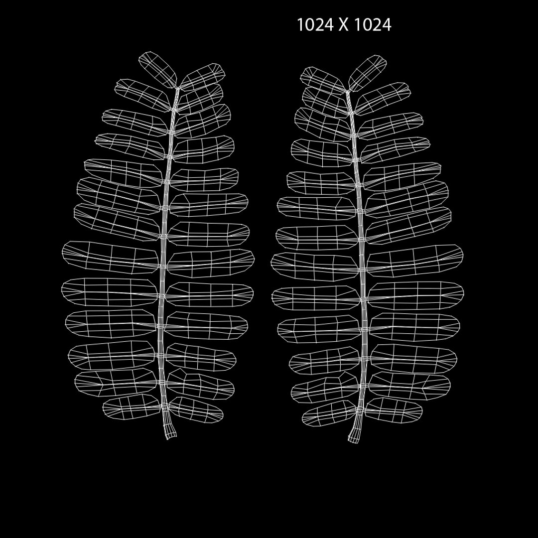 3d Model Tamarindus Tree Tropical