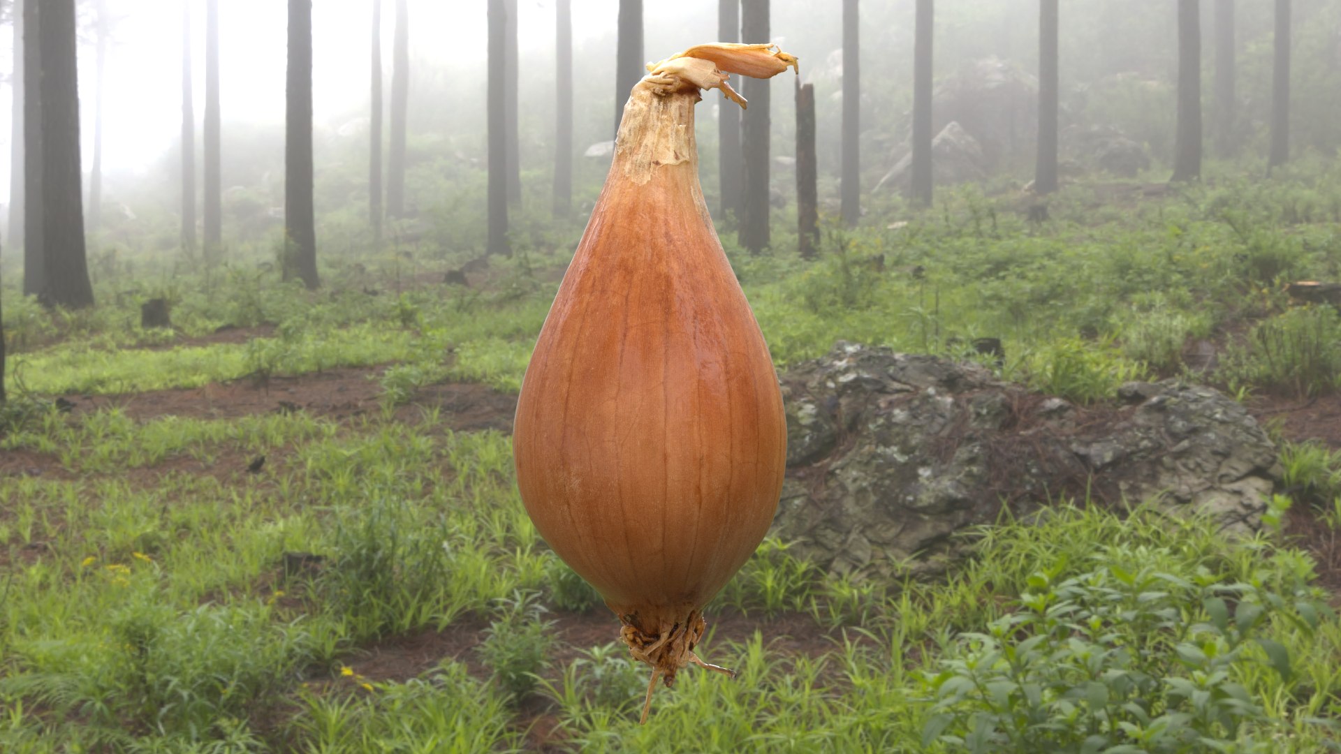 3D Onion Vegetable Model - TurboSquid 1637218