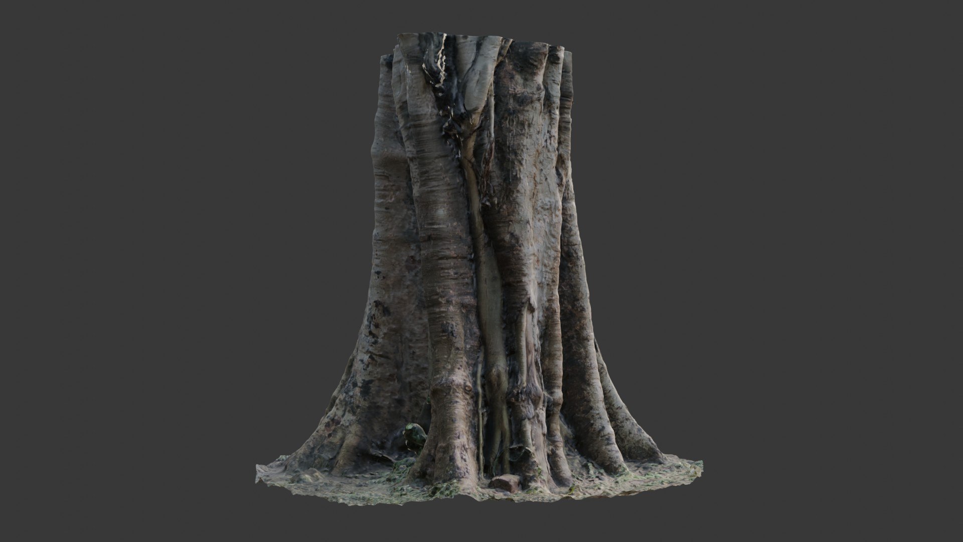 Ancient Banyan Tree Trunk Scan 3D Model - TurboSquid 2395282