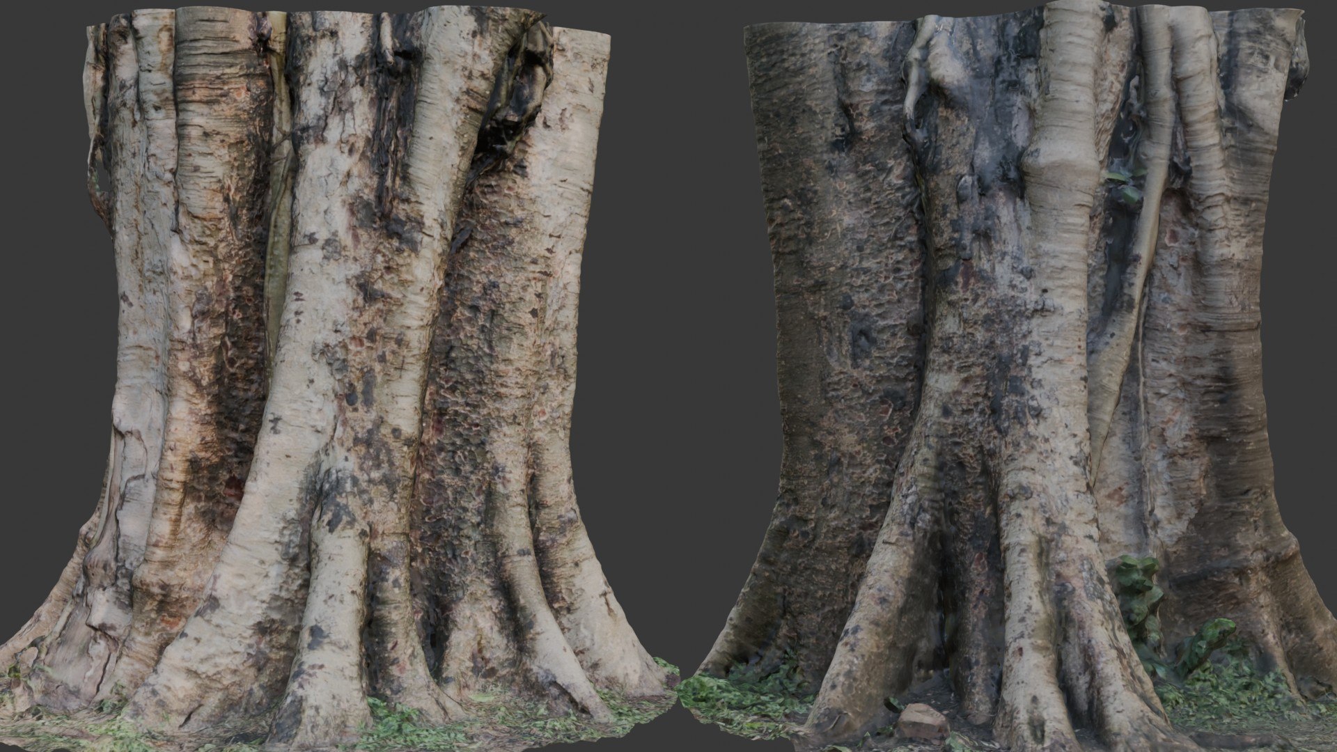 Ancient Banyan Tree Trunk Scan 3D Model - TurboSquid 2395282