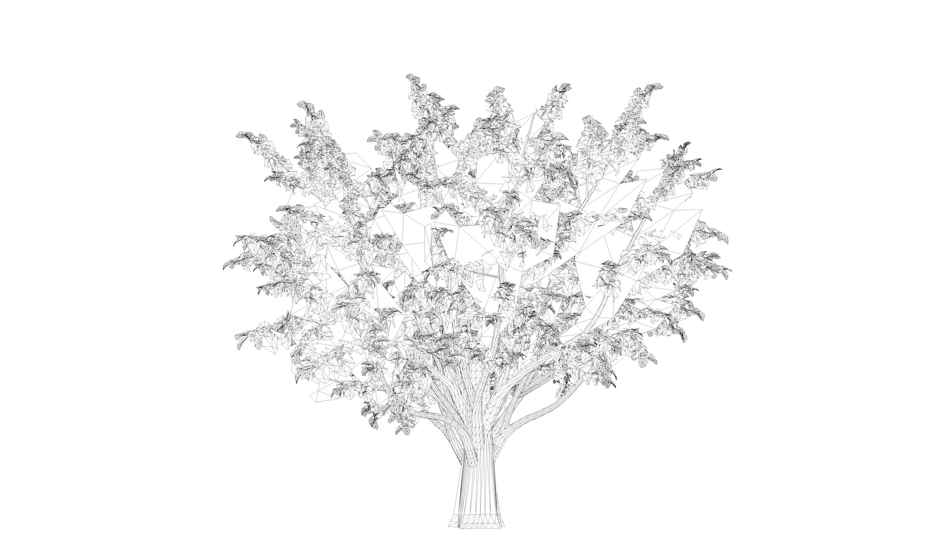 3D Common Hawthorn Tree - 09 - - TurboSquid 2372720
