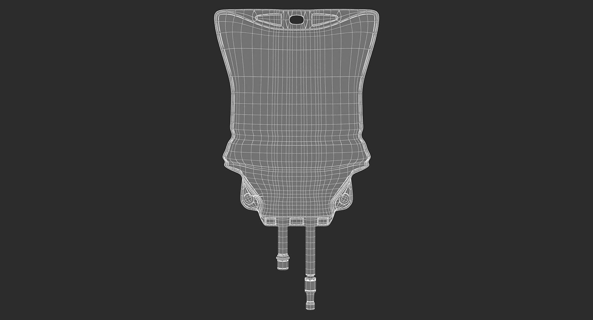 Iv Bag 3d Max