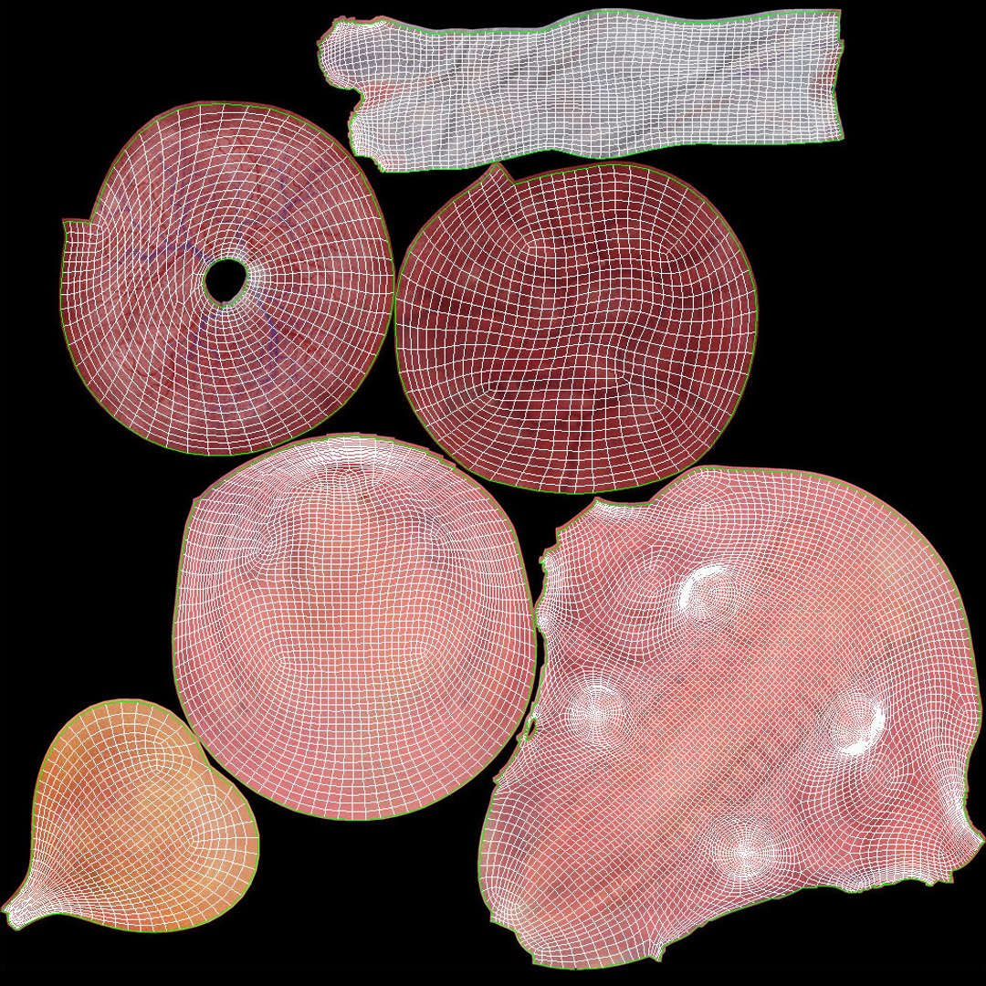 3D Fetus Week 6 Static - TurboSquid 1875391