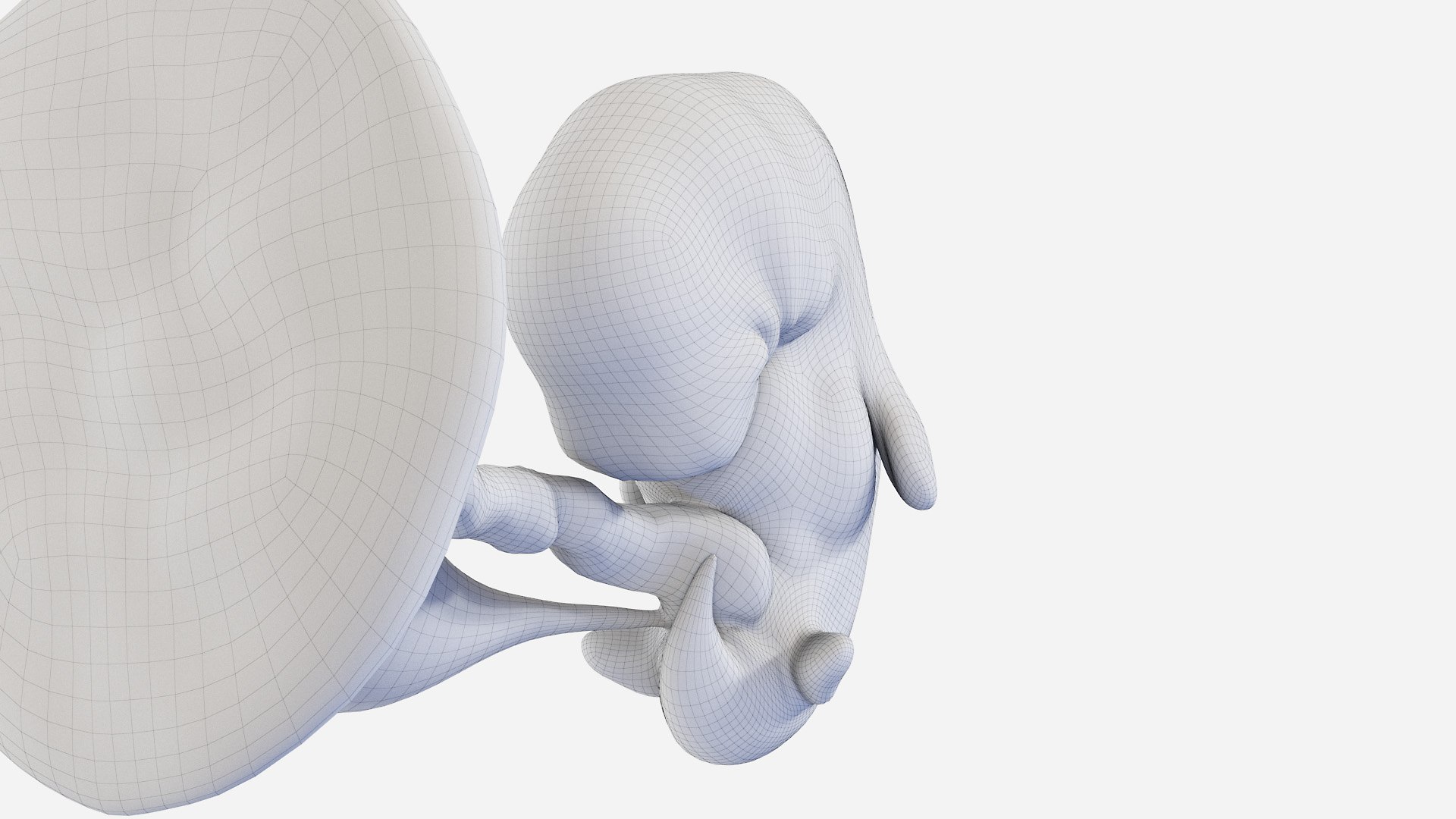 3D Fetus Week 6 Static - TurboSquid 1875391