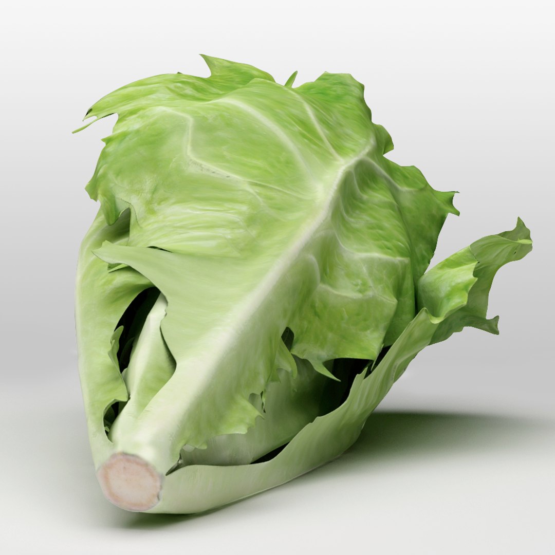 3d Lettuce