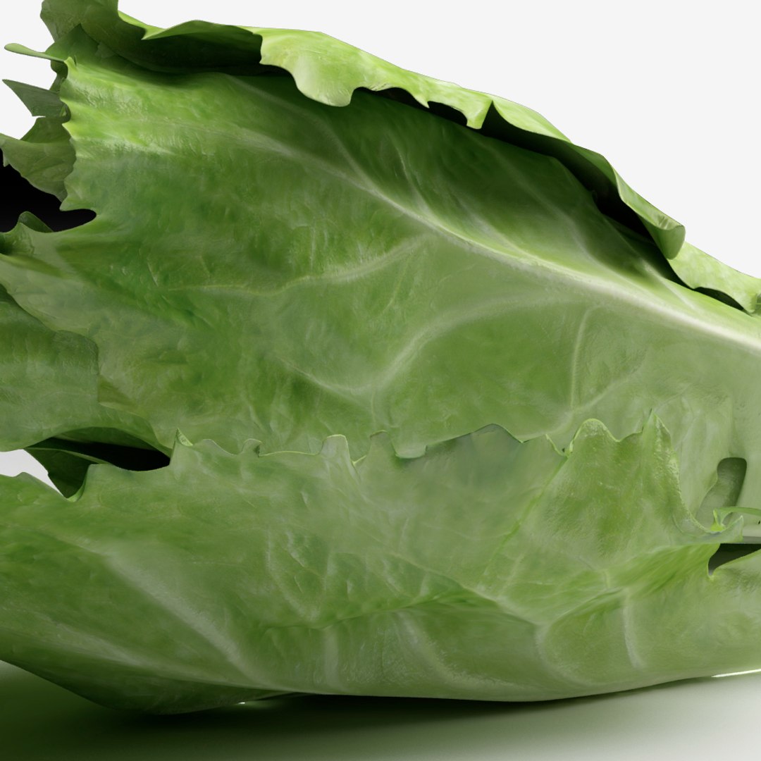 3d Lettuce
