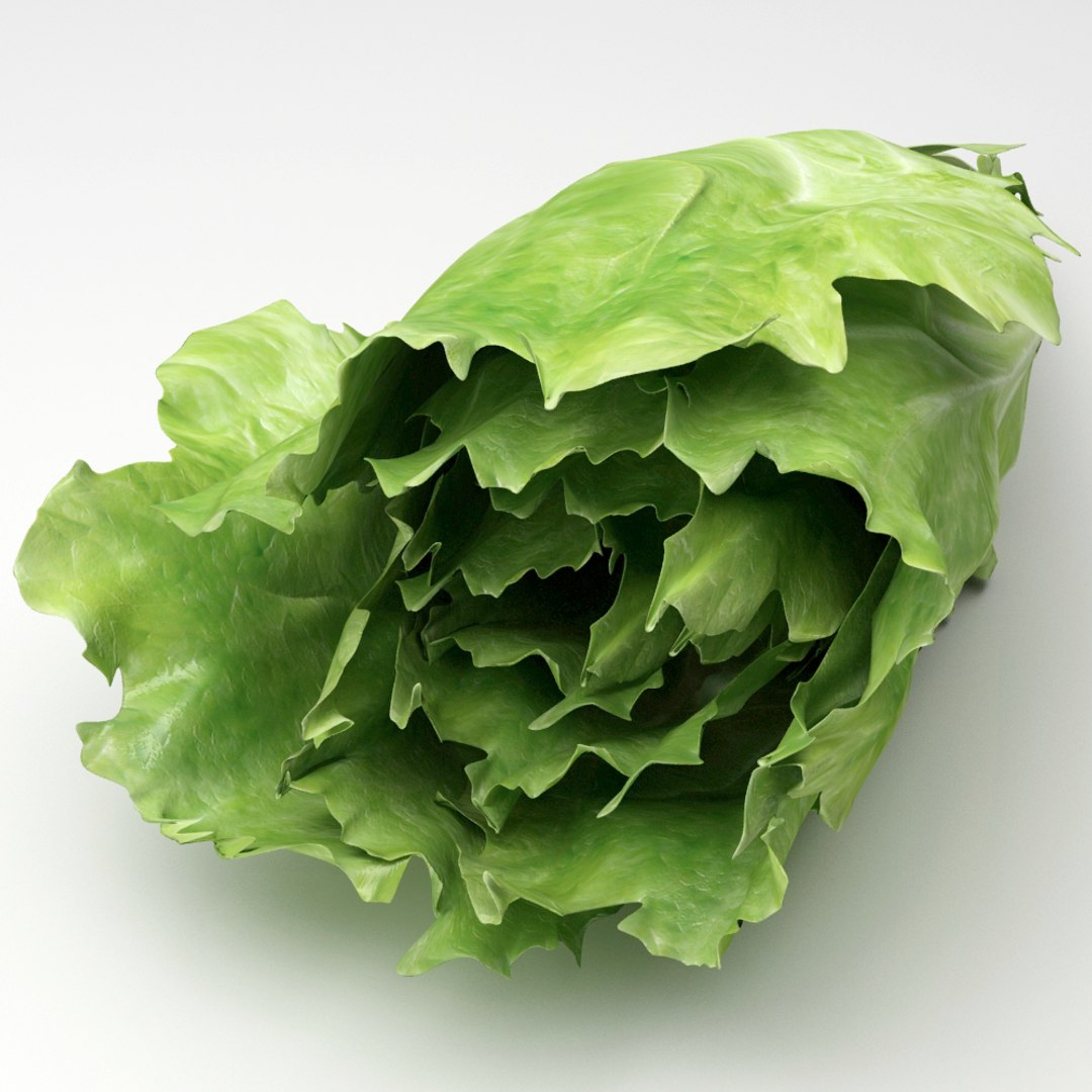 3d Lettuce