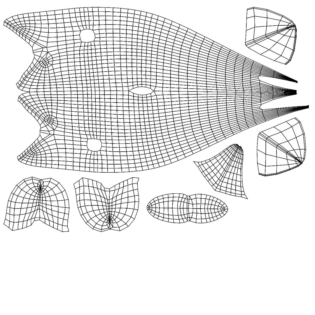 3d Base Mesh Orca Whale