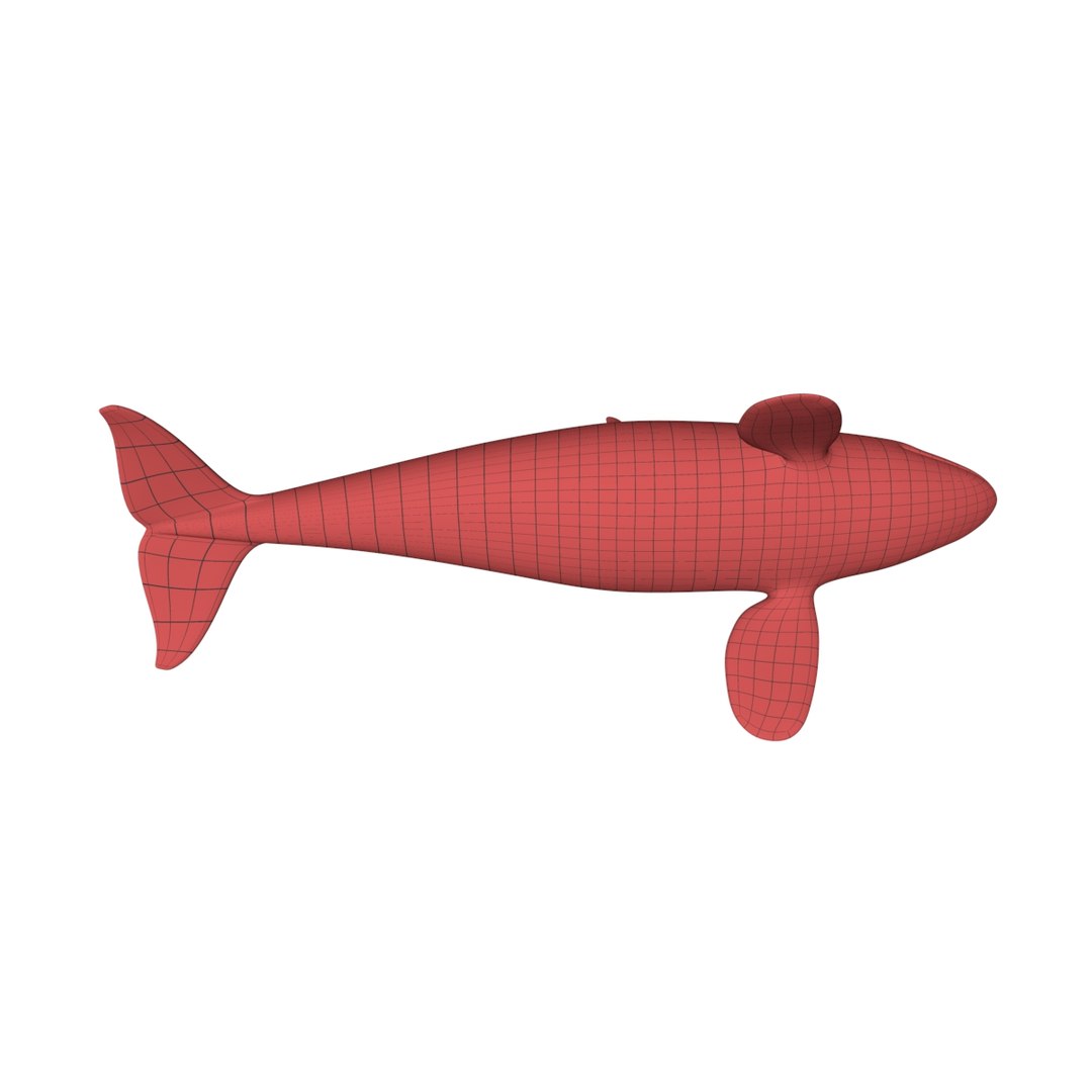3d Base Mesh Orca Whale