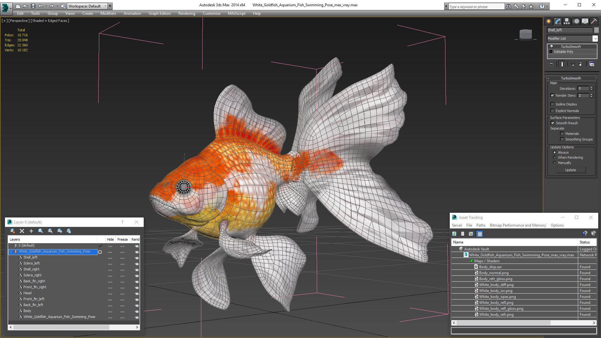 3D White Goldfish Aquarium Fish Swimming Pose - TurboSquid 1762685