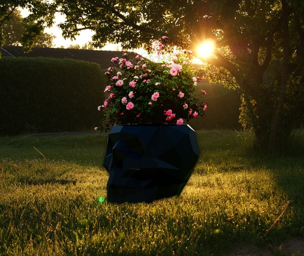 modelo 3d Calavera Low Poly hecha de chapa DXF - TurboSquid 1865213