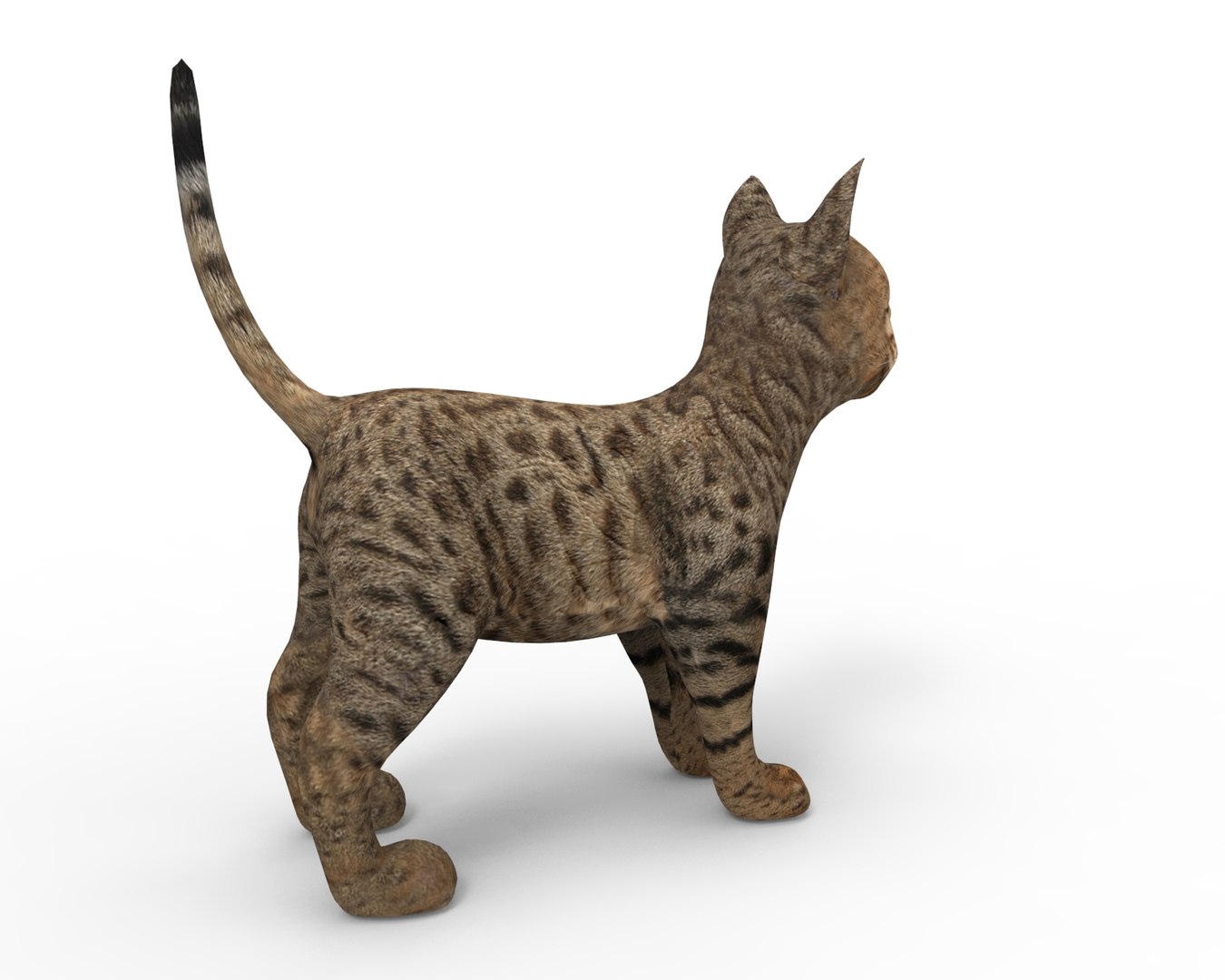 3D Cute Cat - TurboSquid 1193823