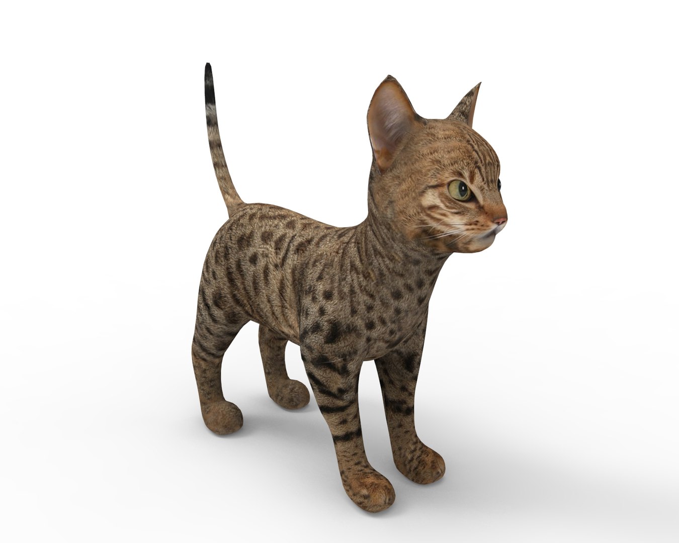 3D Cute Cat - TurboSquid 1193823