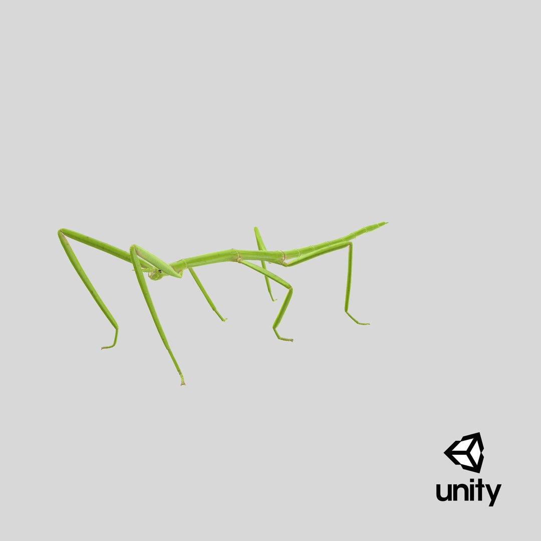 Stick insect green 3D model - TurboSquid 1469611