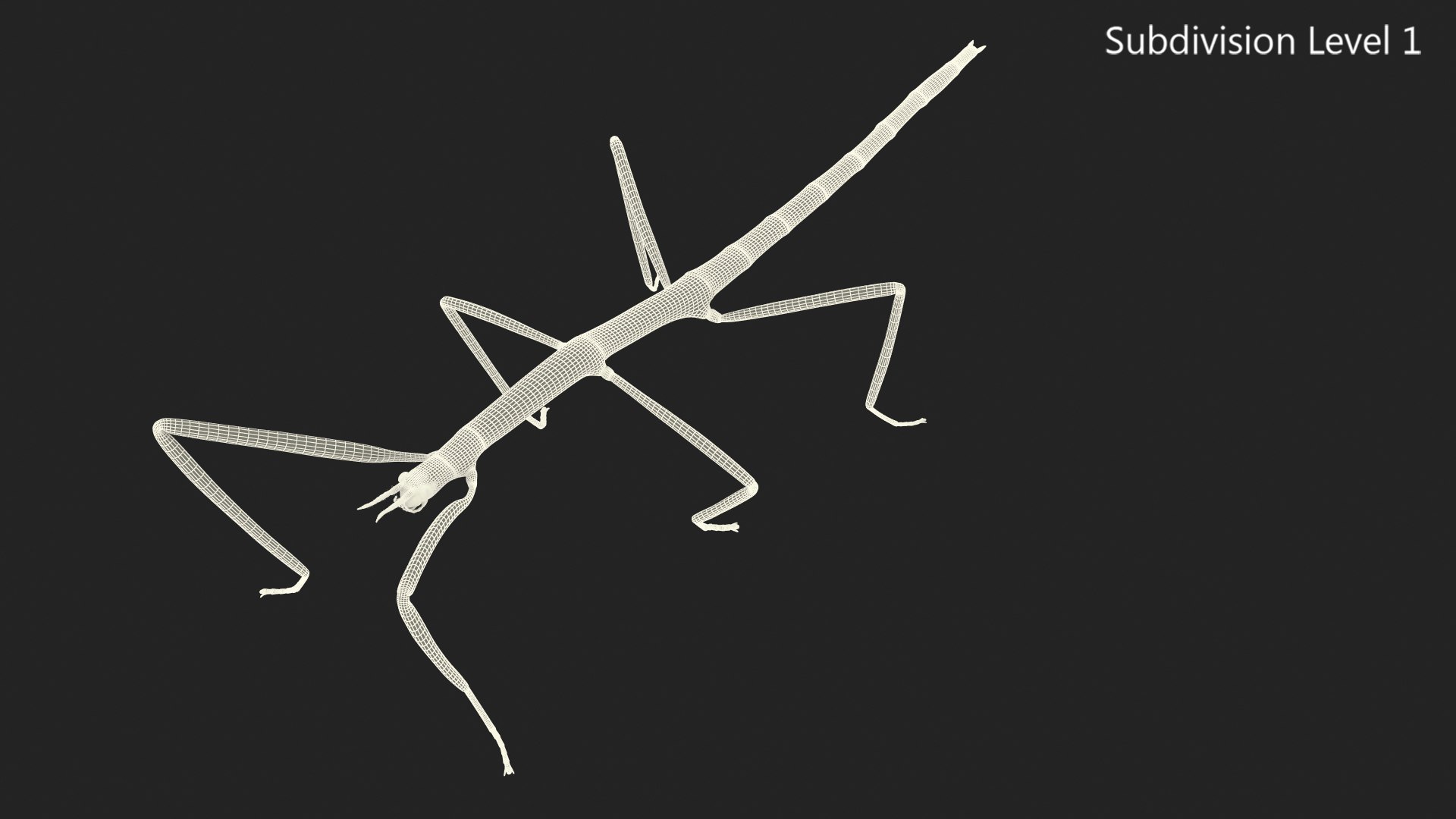 Stick insect green 3D model - TurboSquid 1469611