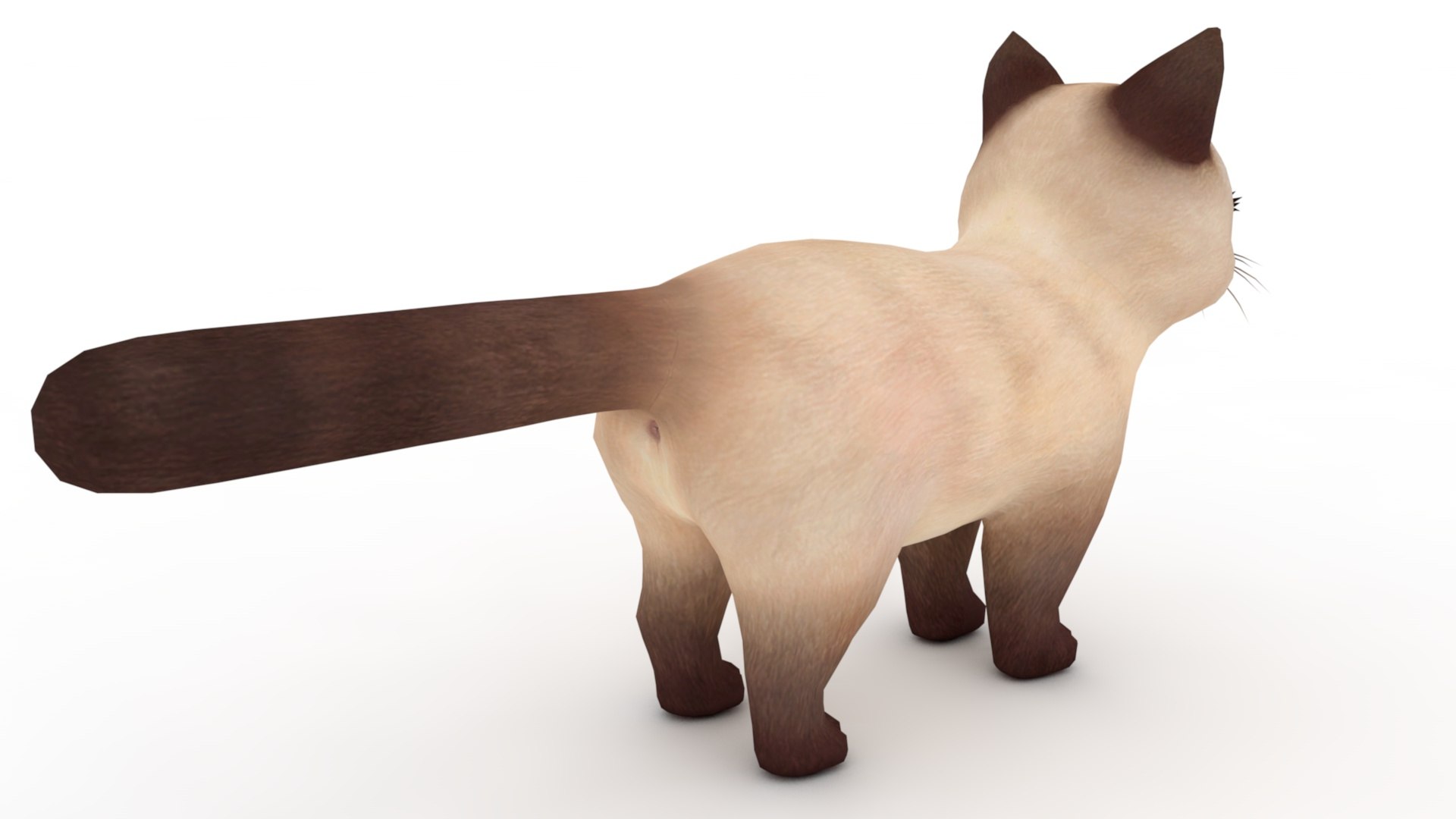 3D Model KITTY CAT - TurboSquid 1838795
