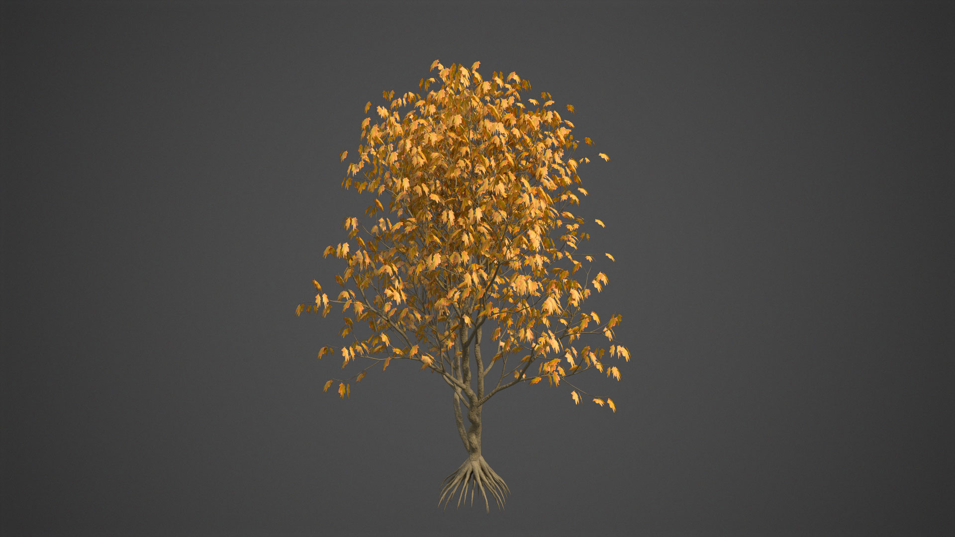 Maple Tree Nature 3D Model - TurboSquid 1676999
