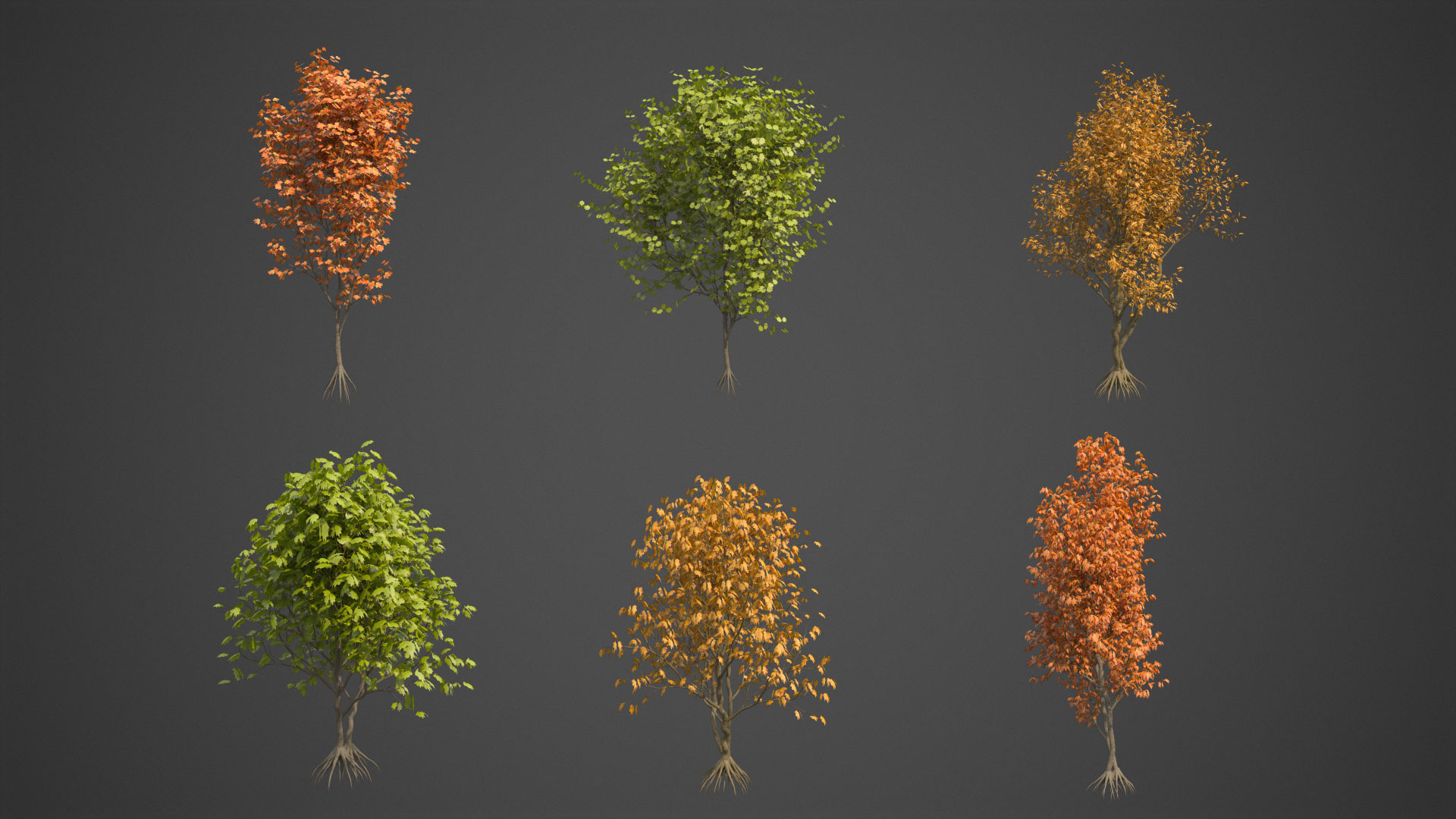 Maple Tree Nature 3D Model - TurboSquid 1676999