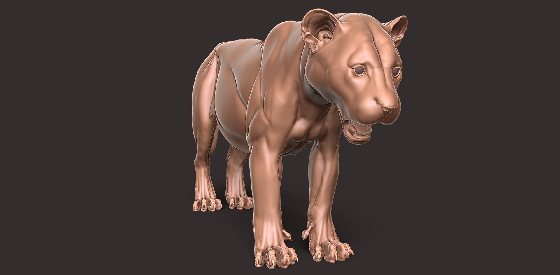 3D Jaguar Cub Primary Forms Zbrush Sculpt - TurboSquid 1820309
