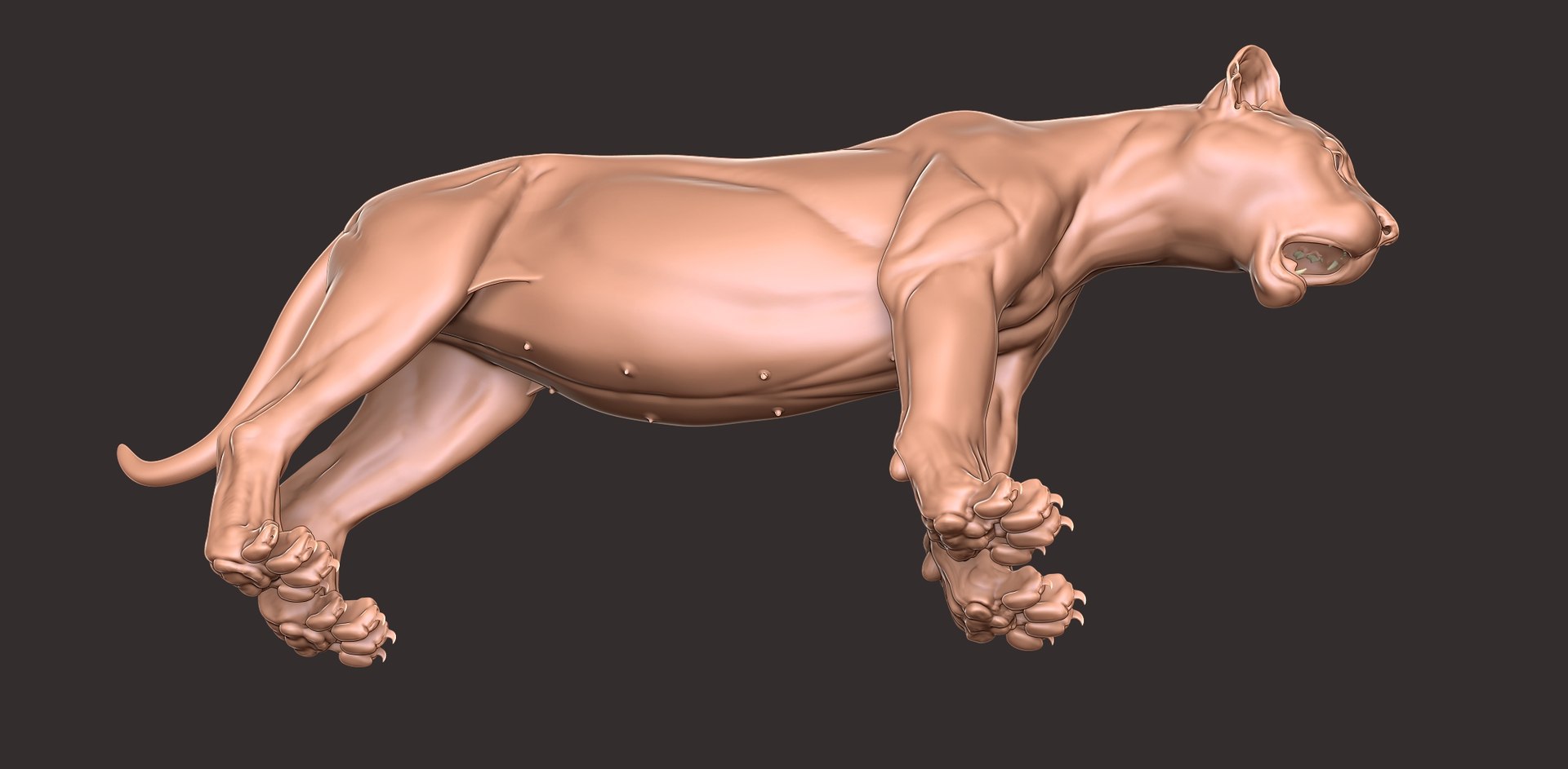 3D Jaguar Cub Primary Forms Zbrush Sculpt - TurboSquid 1820309