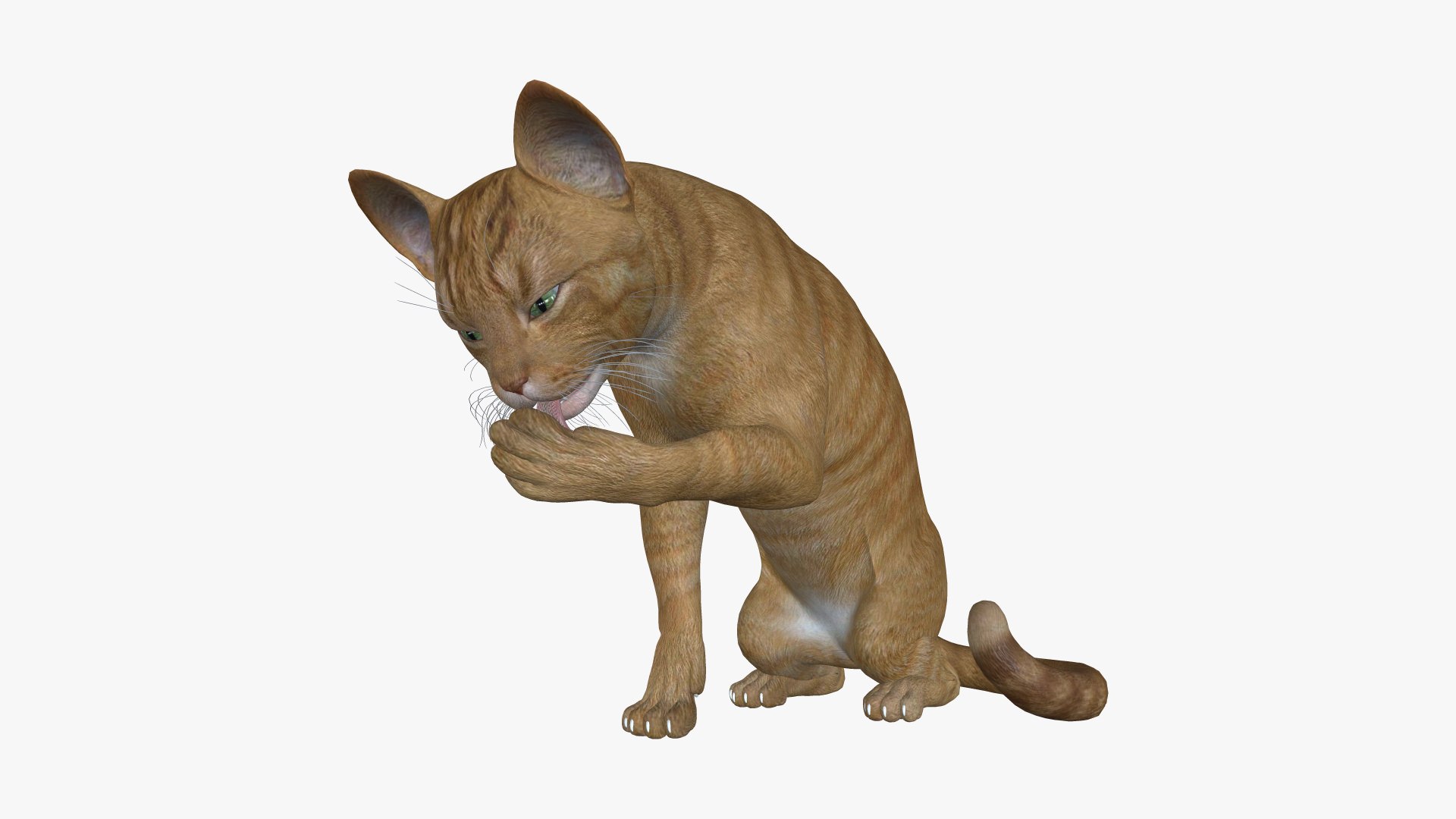 Cat 038 Rigged Cat 3d Model Turbosquid 1981524