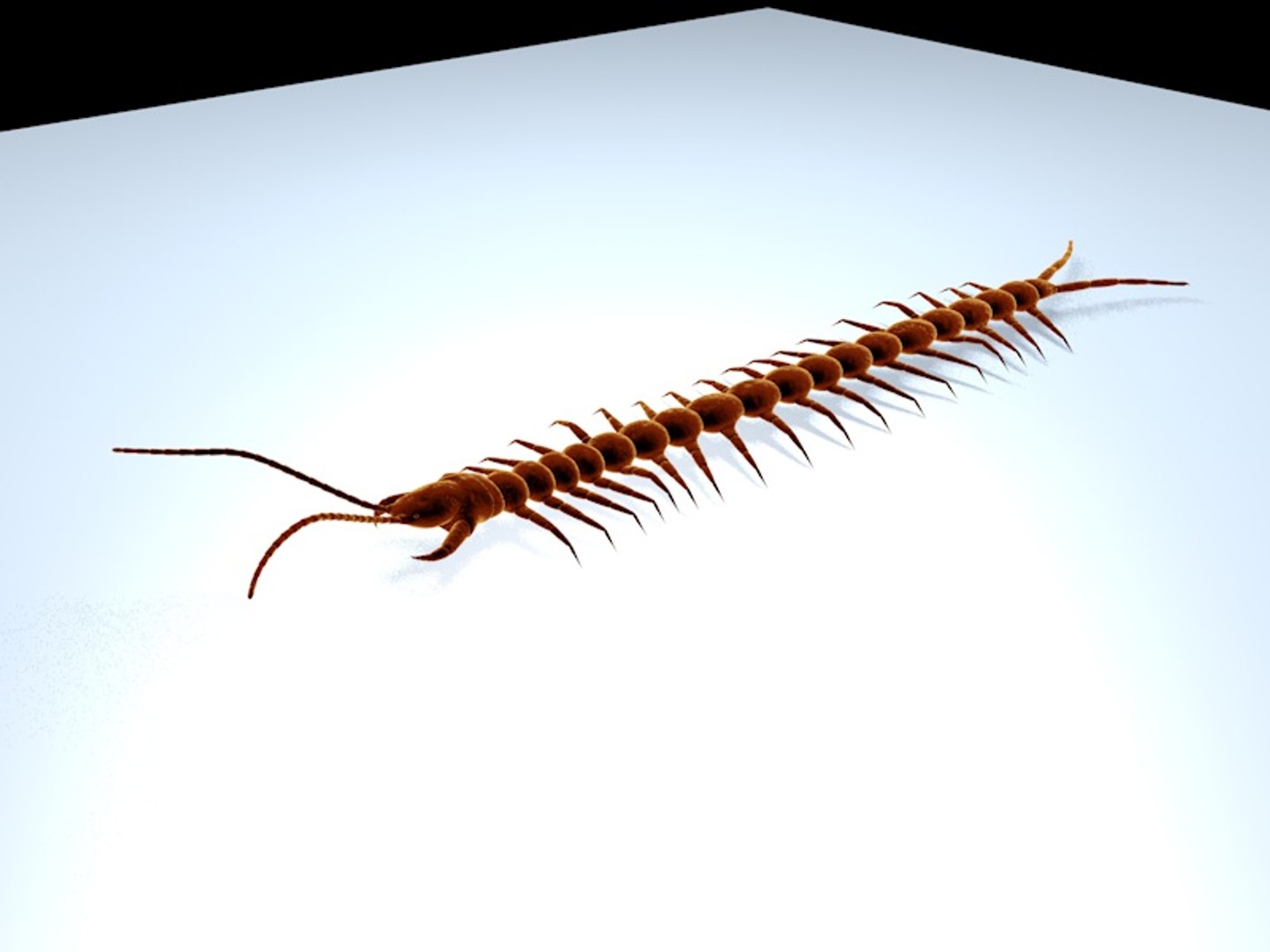 3d Centipede Dynamic Ik Model