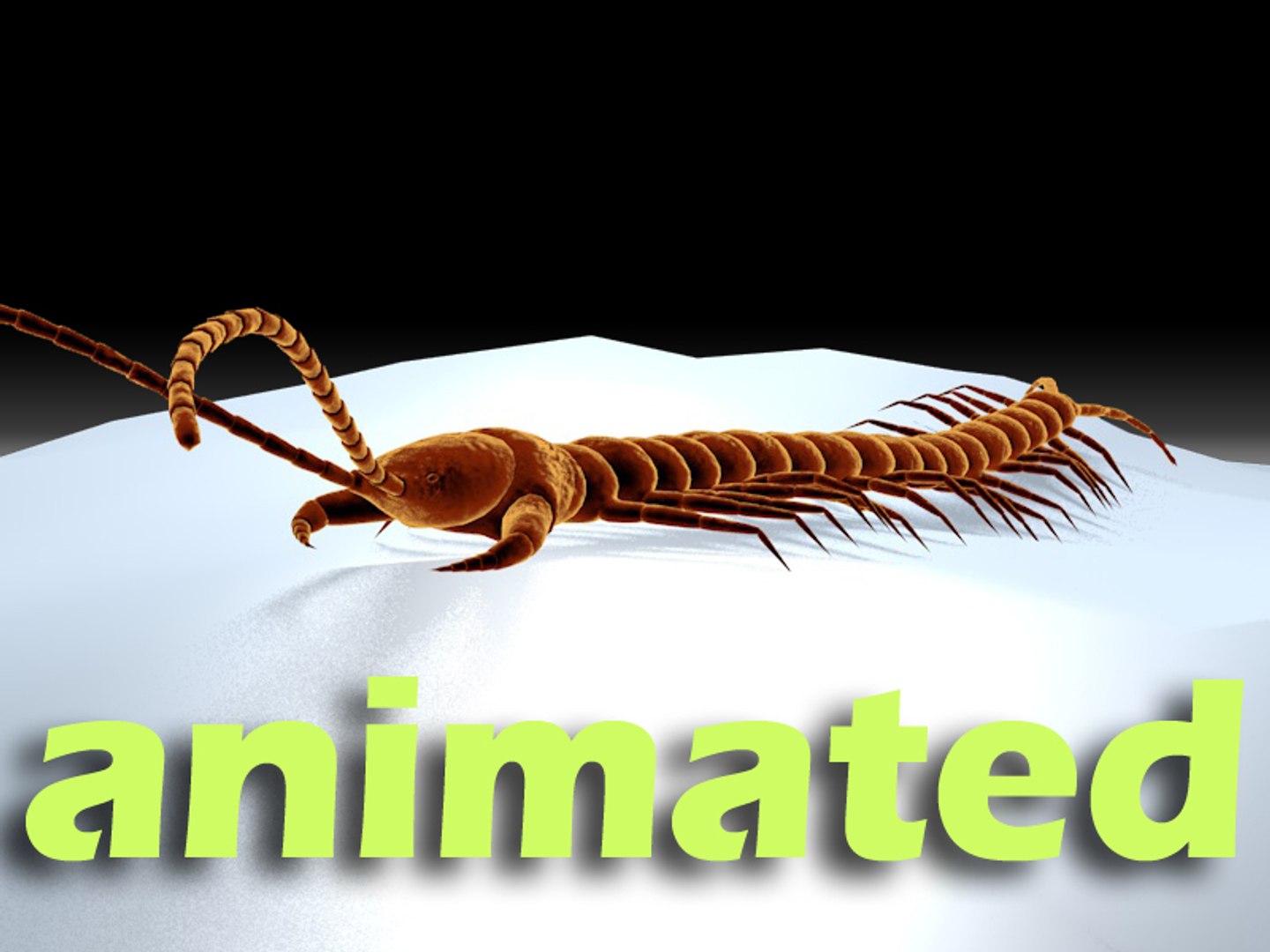 3d Centipede Dynamic Ik Model