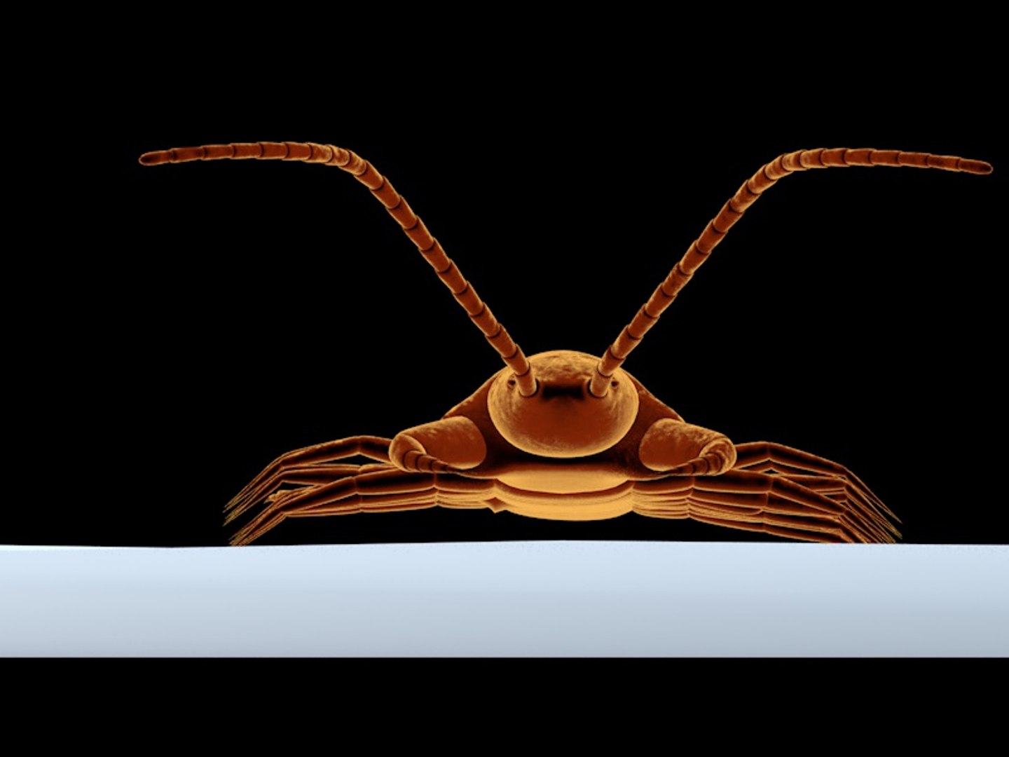 3d Centipede Dynamic Ik Model