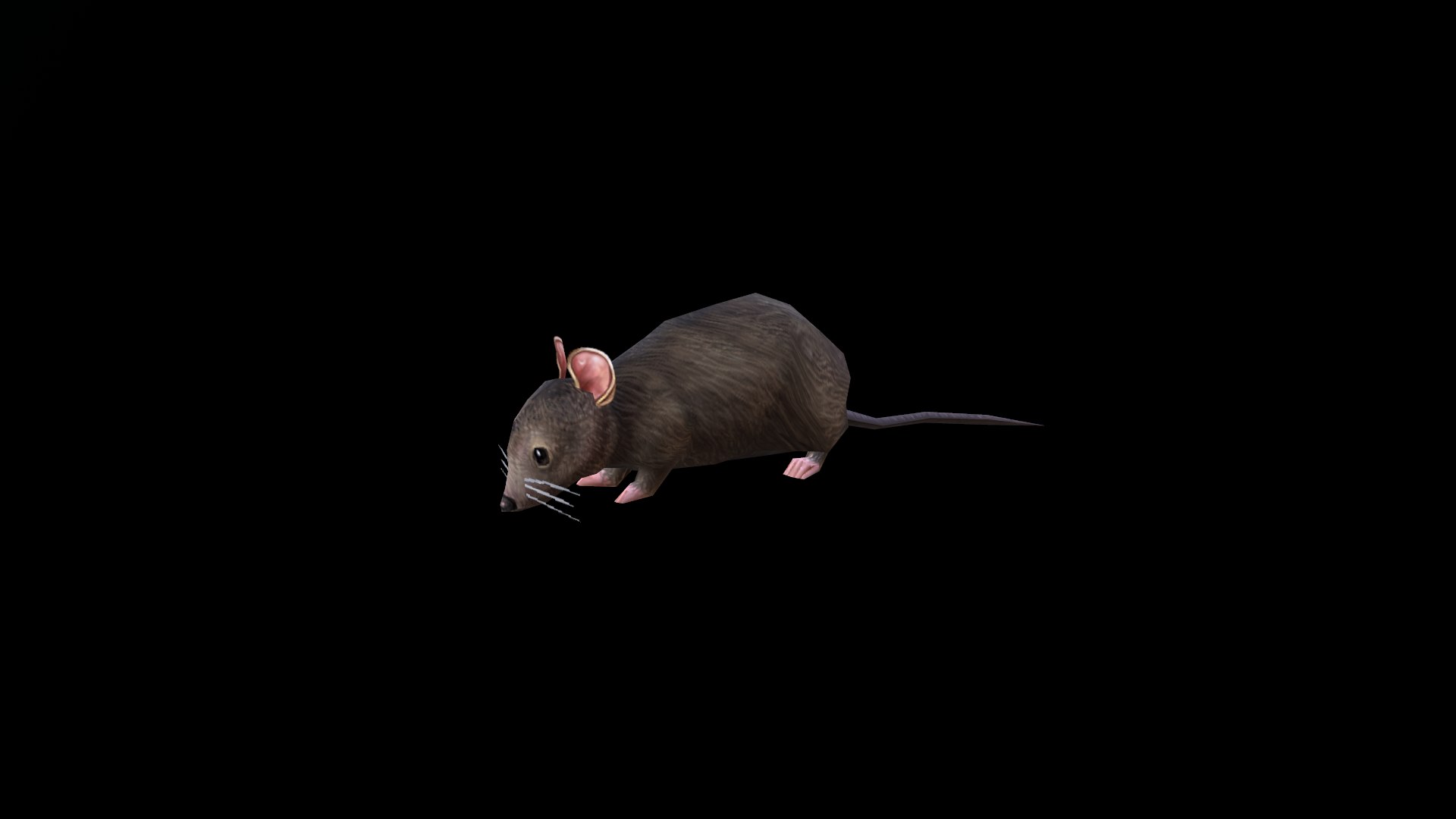 modelo 3d rata de ratón animada de baja poli - TurboSquid 1949881