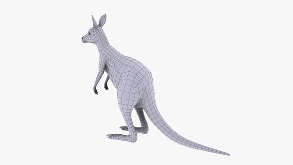 3D kangaroo marsupial animals model - TurboSquid 1496591