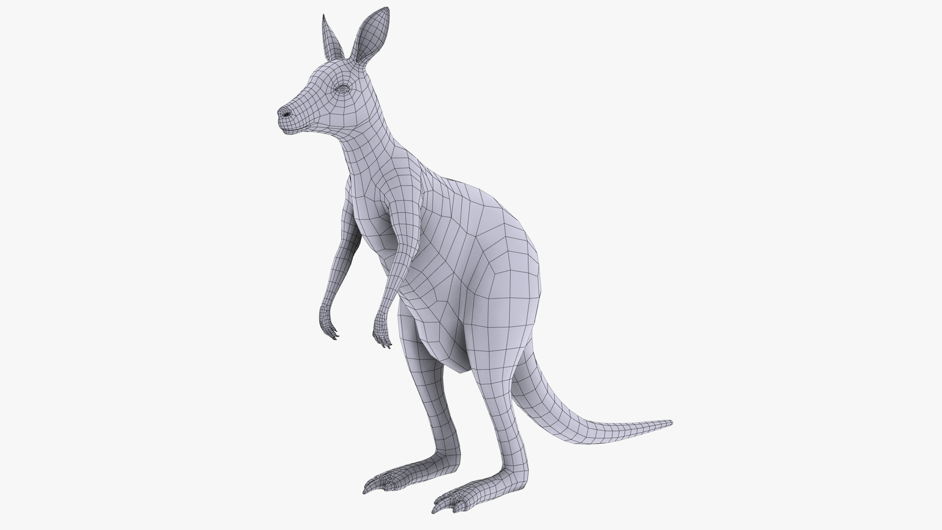 3D kangaroo marsupial animals model - TurboSquid 1496591