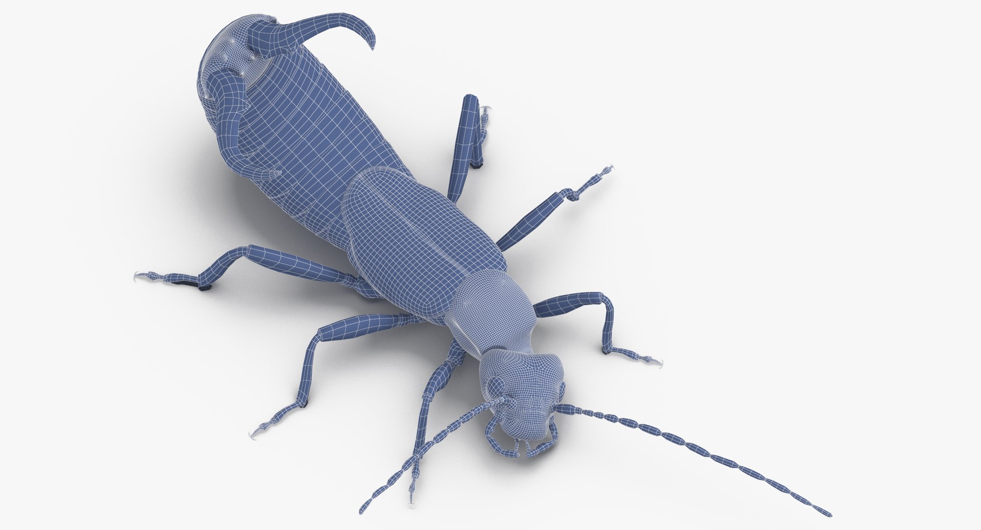 3D Earwigs Poses - TurboSquid 1398881