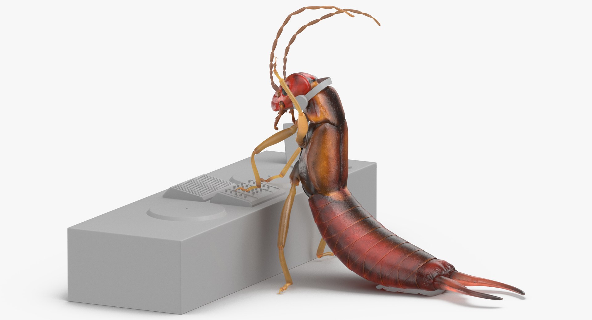 3D Earwigs Poses - TurboSquid 1398881
