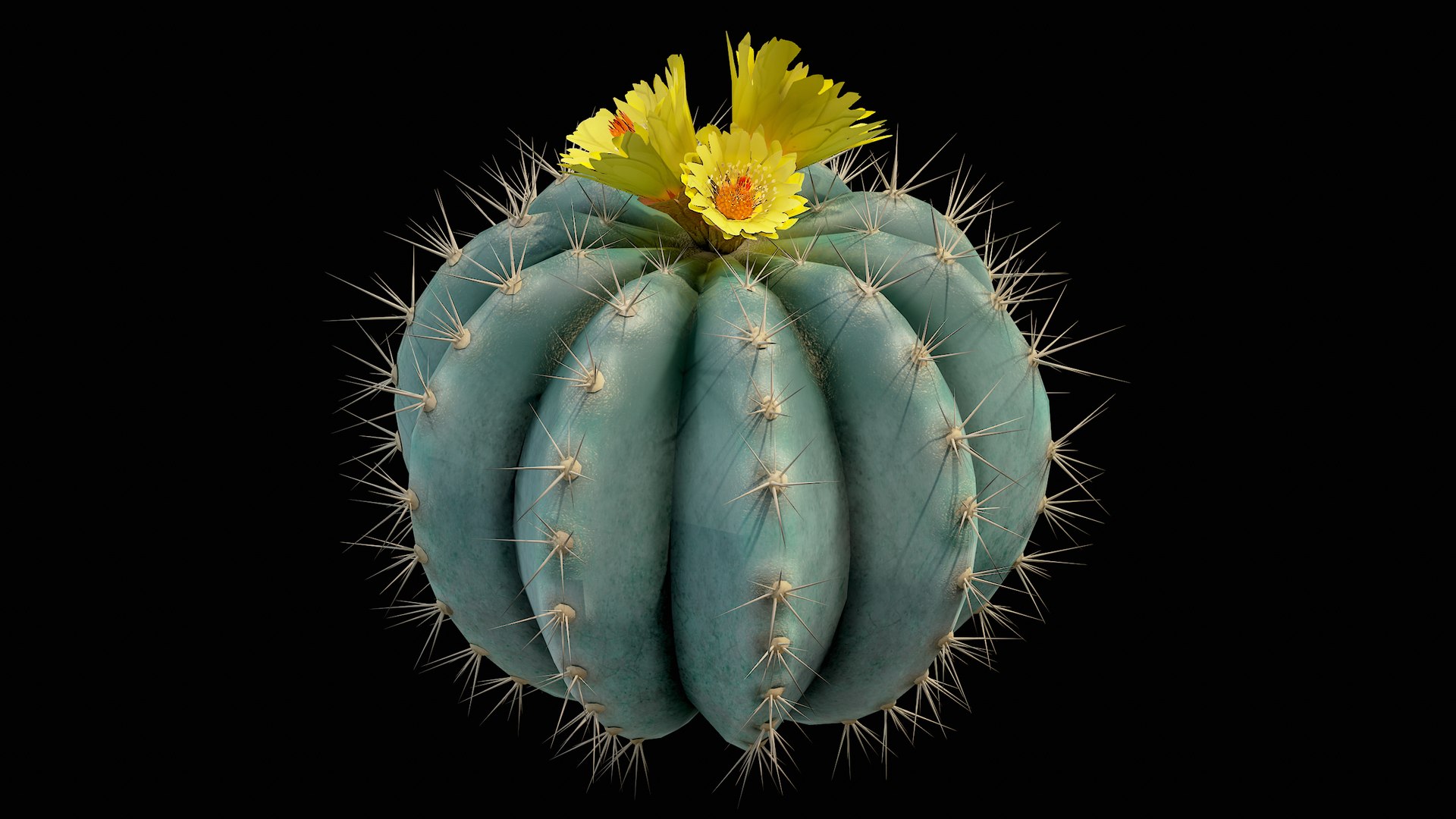 Medium Balloon Cactus Blooming PBR 3D Model - TurboSquid 2069576