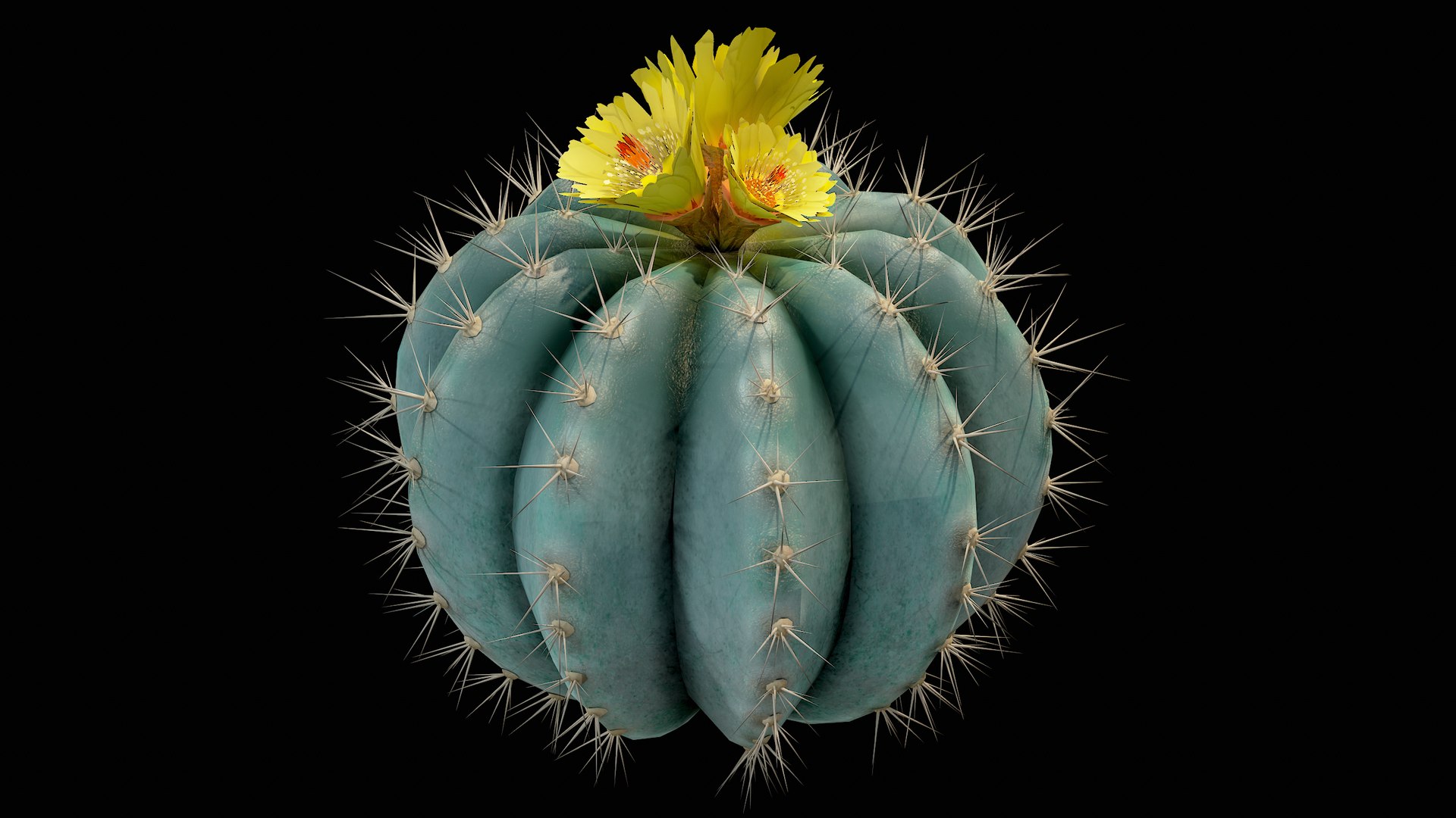 Medium Balloon Cactus Blooming PBR 3D Model - TurboSquid 2069576