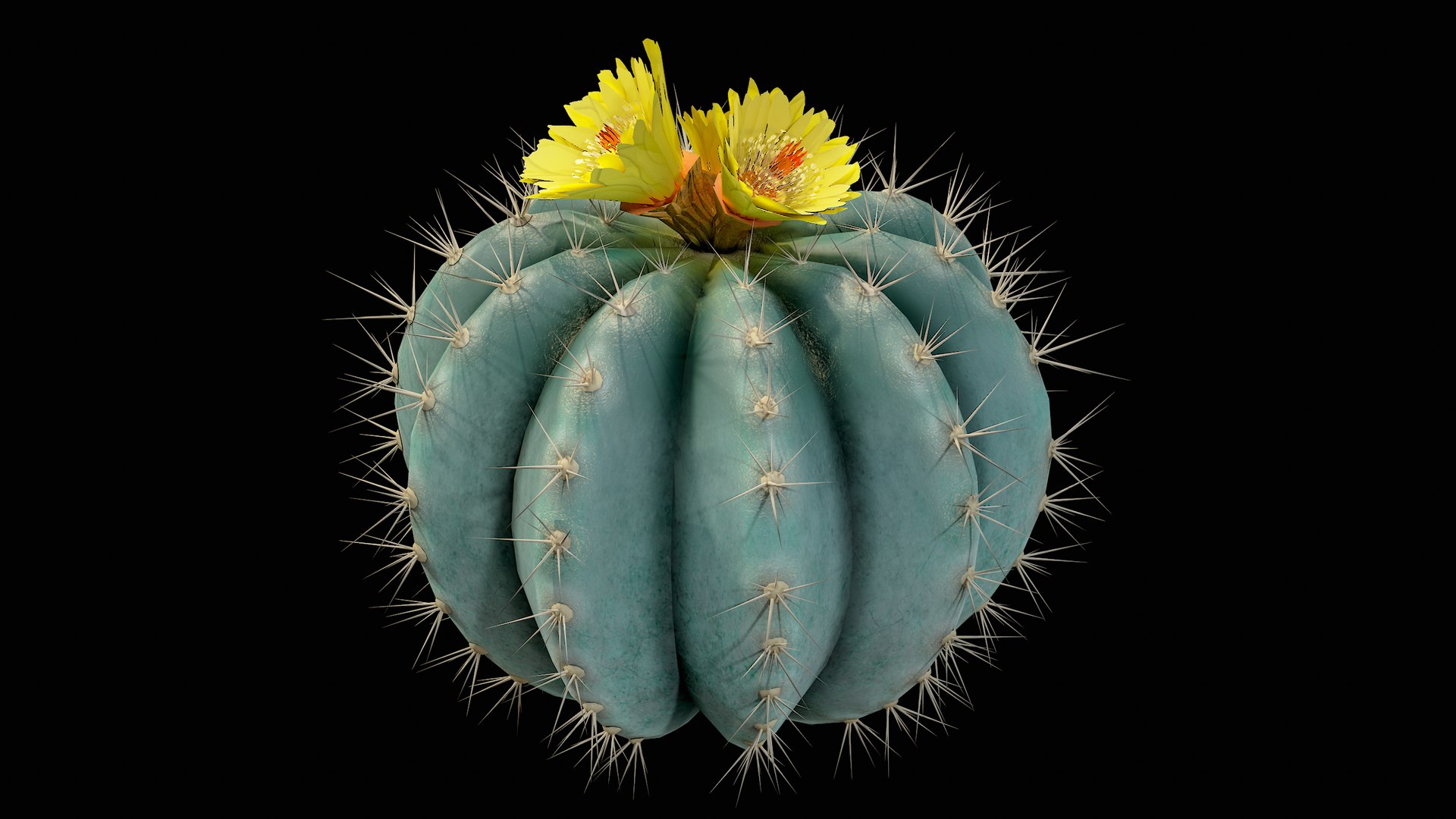Medium Balloon Cactus Blooming PBR 3D model - TurboSquid 2069576