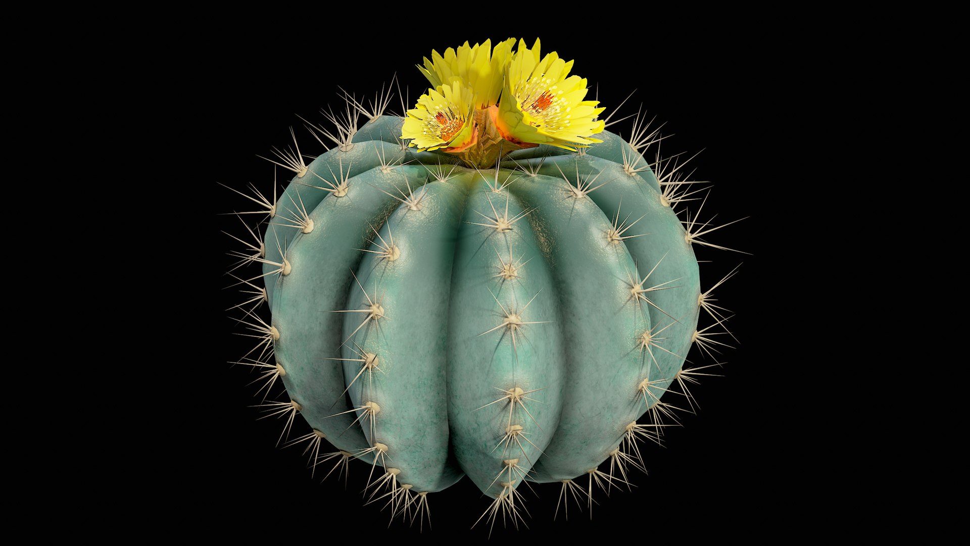Medium Balloon Cactus Blooming PBR 3D Model - TurboSquid 2069576