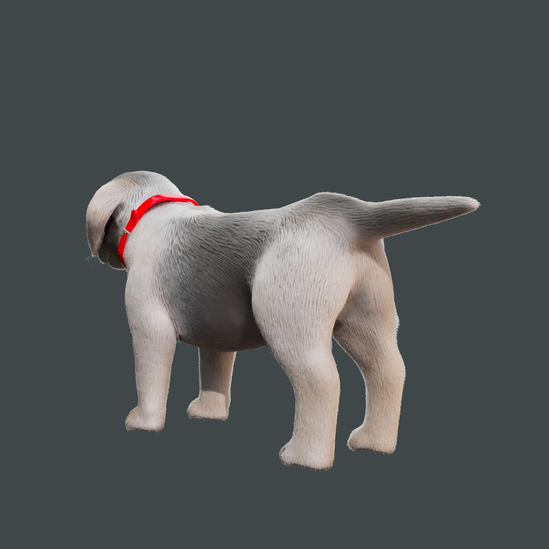 3D Cartoon Dog NoRig - TurboSquid 2180047