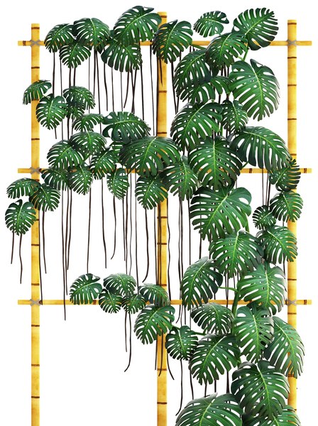3D model monstera vertical garden - TurboSquid 1243249