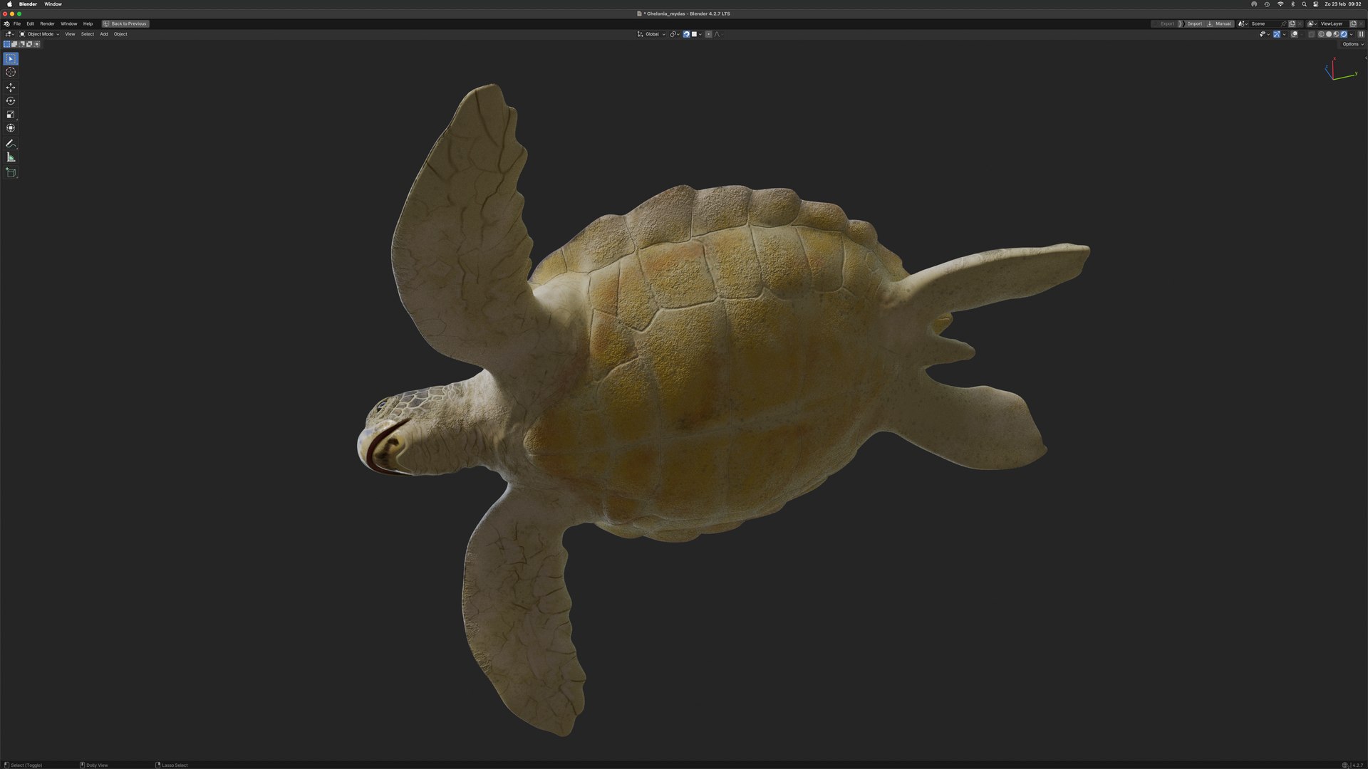 Chelonia Mydas 3D - TurboSquid 2375979